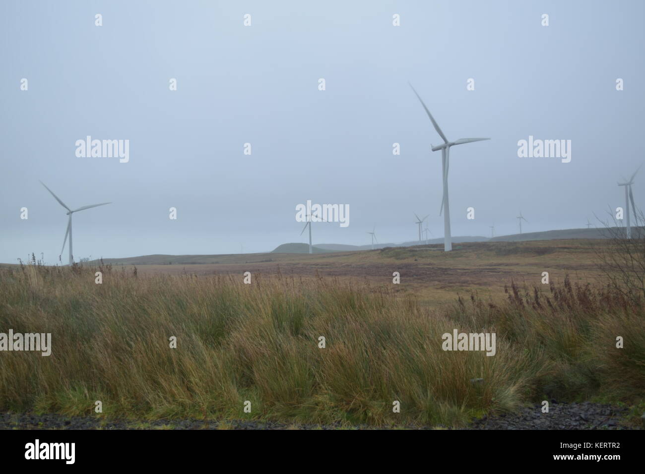 Electricity generating turbines, Whitelee Wind Farm, Eaglesham Moor ...