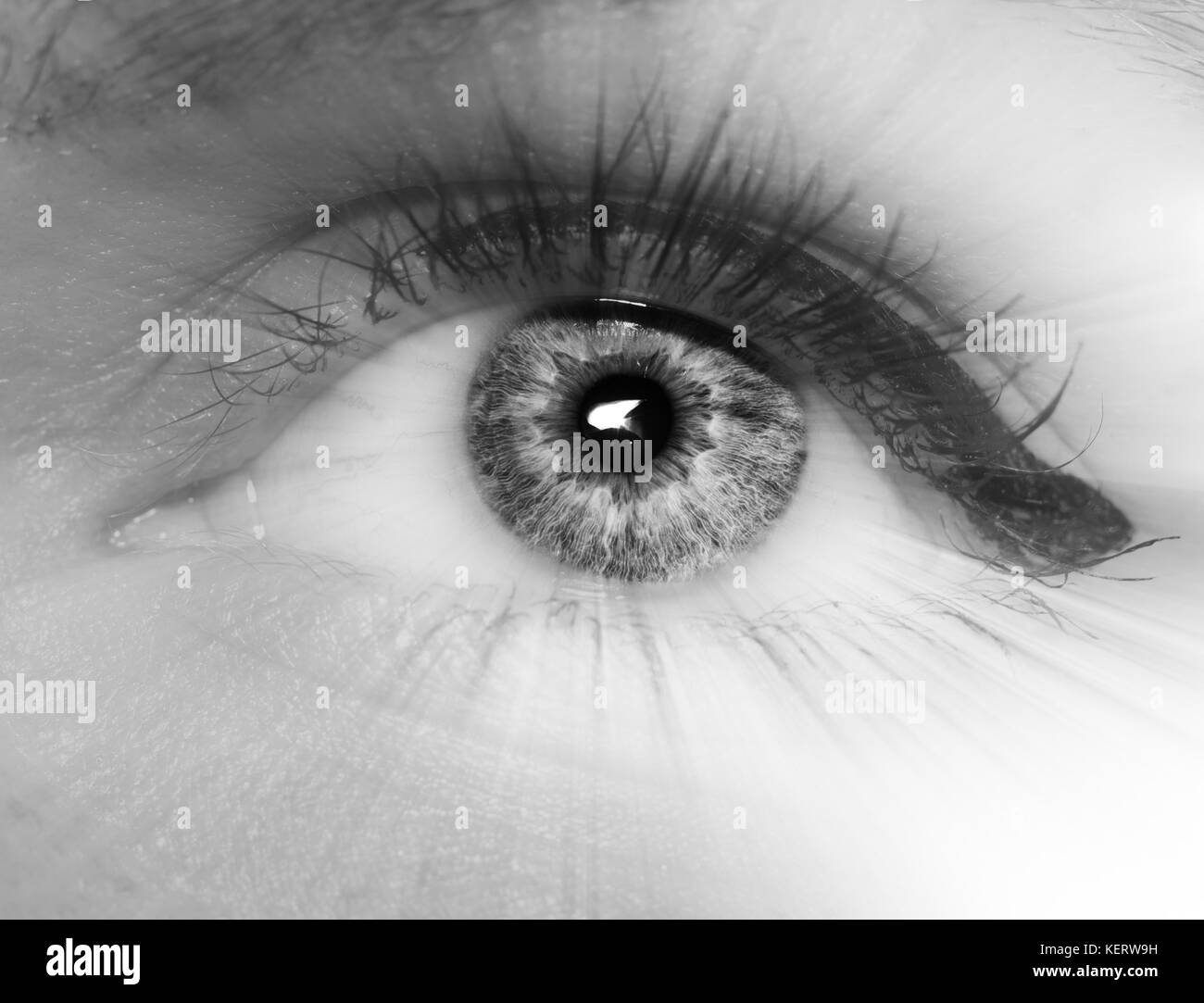 Beautiful black-and-white eye with diverge rays in all directions ...