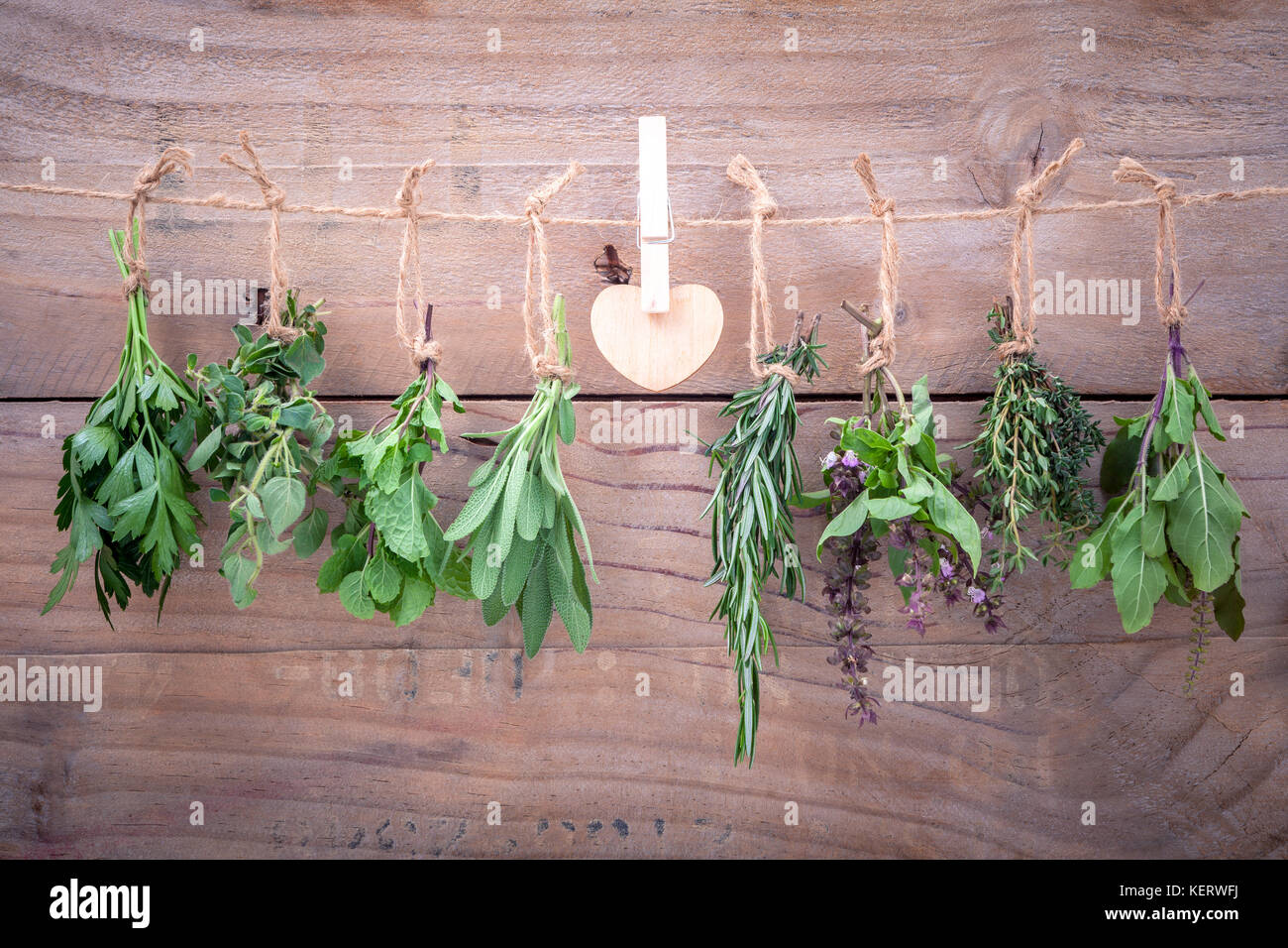 Assorted hanging herbs ,parsley ,oregano,mint,sage,rosemary,sweet basil ...