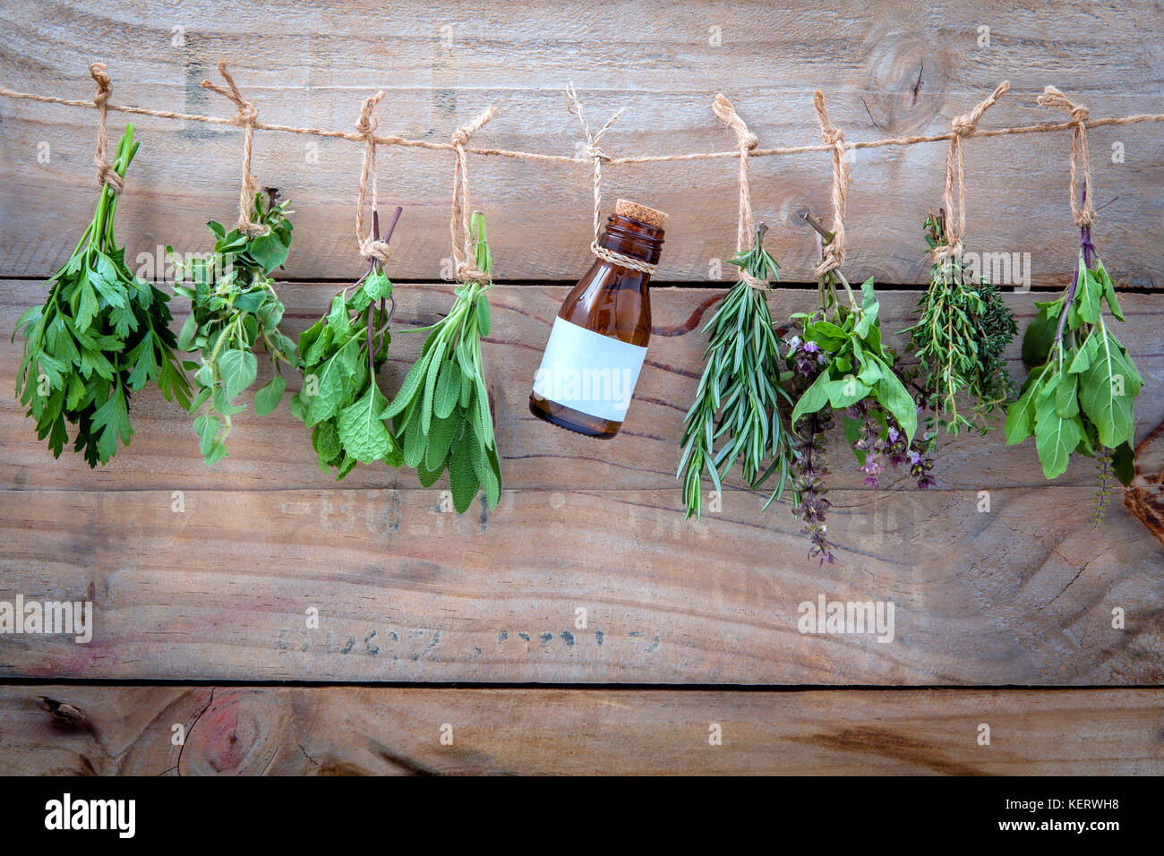 Assorted hanging herbs ,parsley ,oregano,mint,sage,rosemary,sweet basil ...