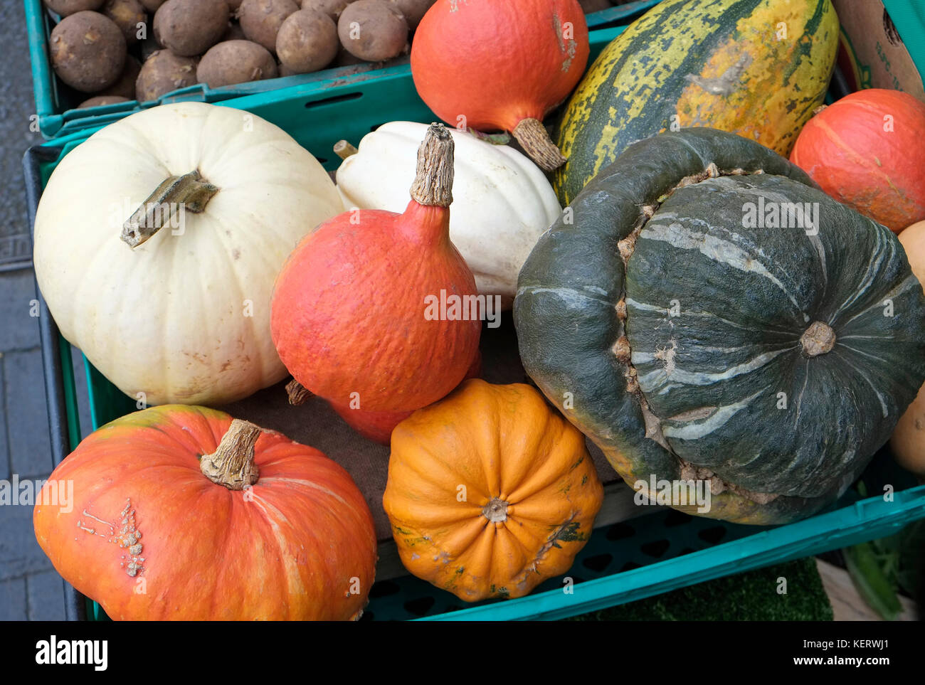 Types of gourds hi-res stock photography and images - Alamy