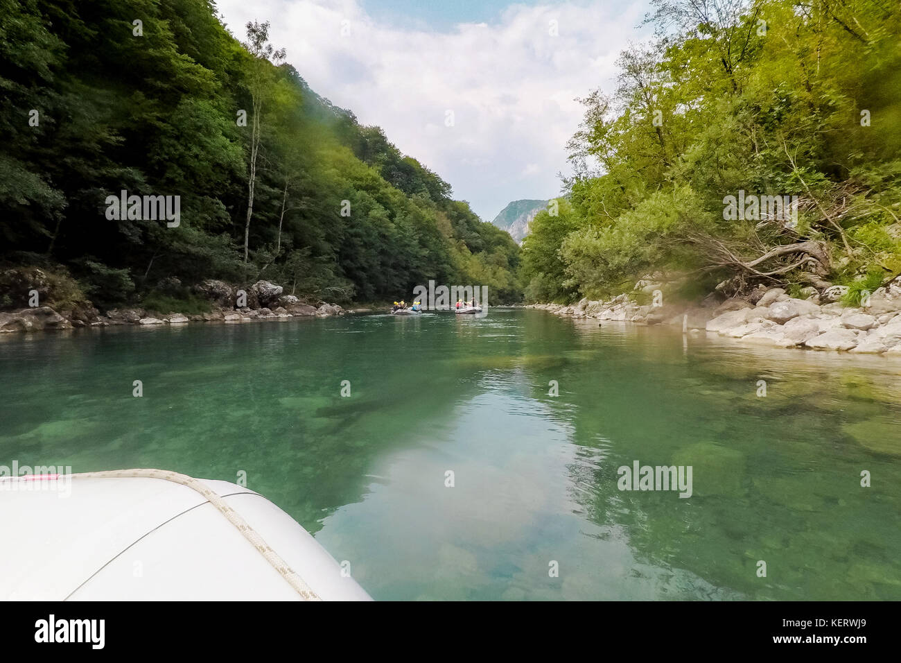 mountain river Tara in Montenegro Stock Photo - Alamy