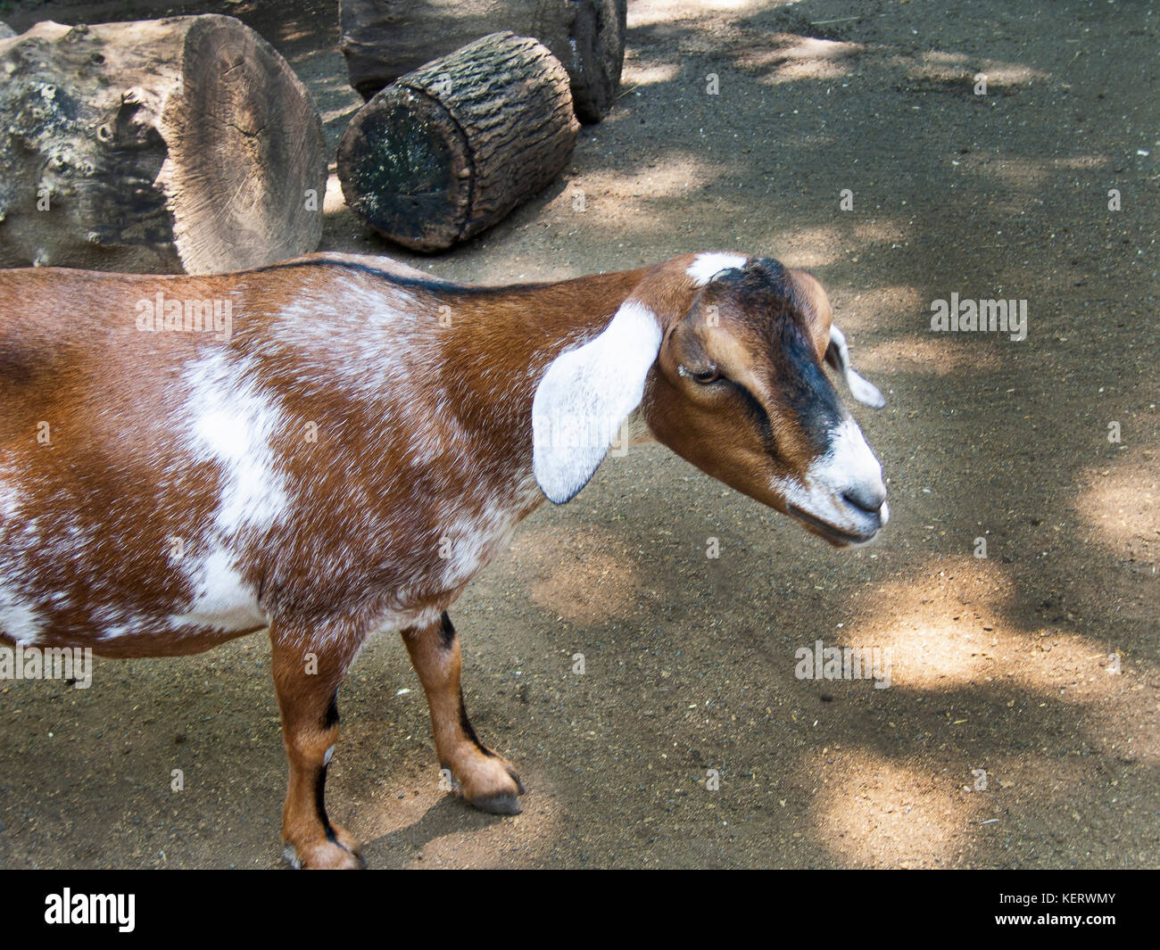 Barnyard hi-res stock photography and images - Alamy