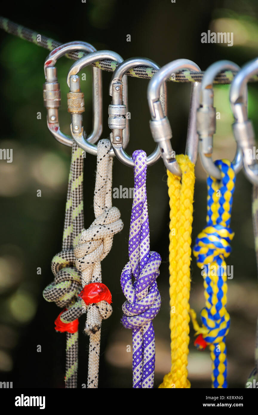 Climbing sports image of a carabiner on a rope in a forest Stock Photo ...
