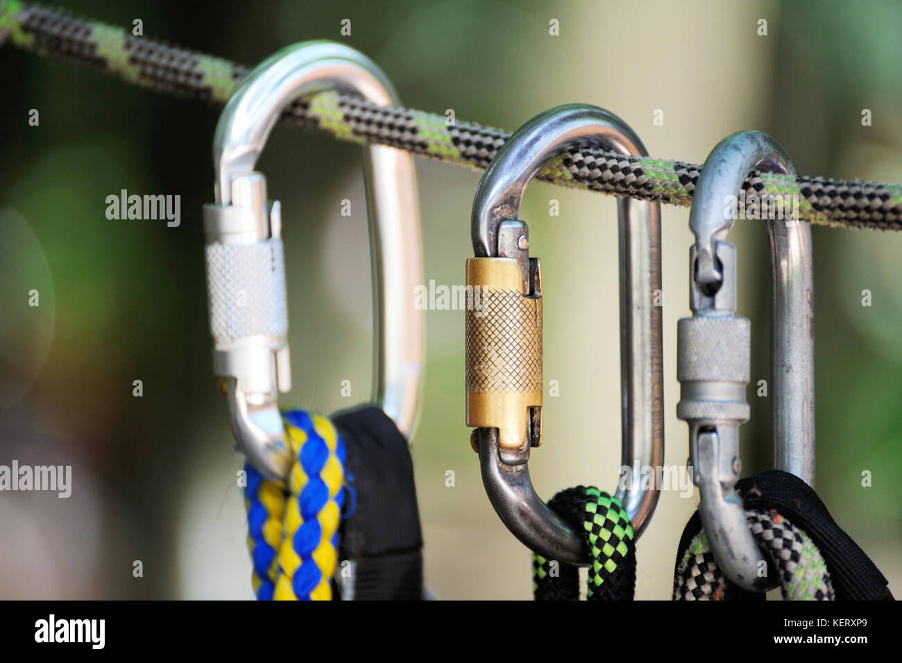 Climbing sports image of a carabiner on a rope in a forest Stock Photo ...