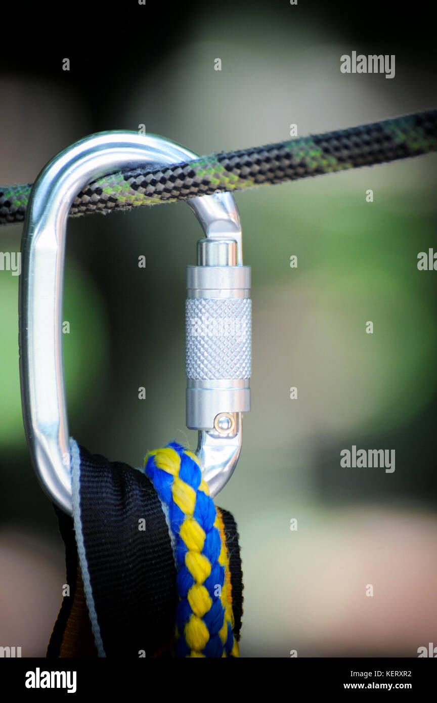 Climbing sports image of a carabiner on a rope in a forest Stock Photo ...