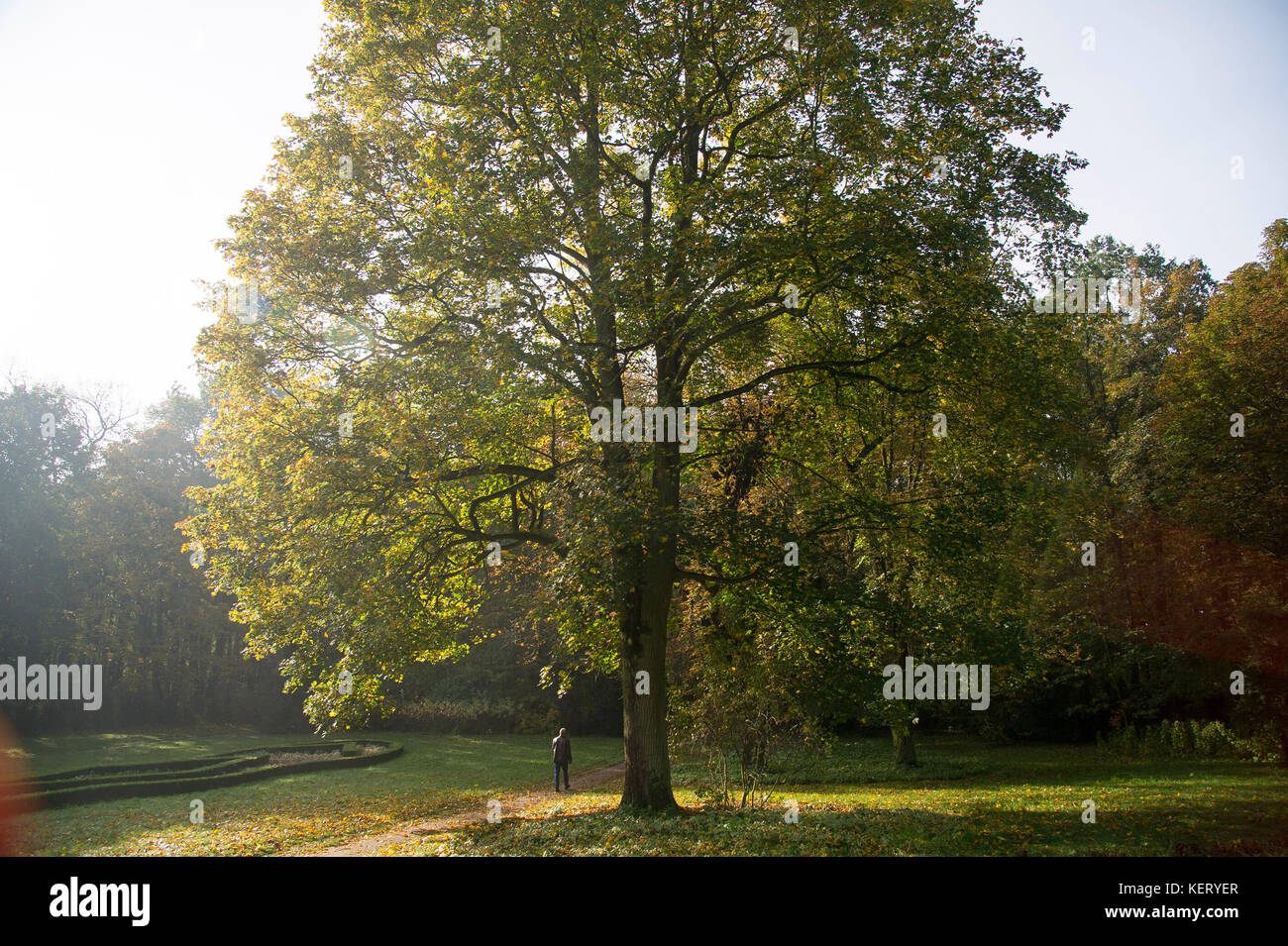 English landscape palace park design by Peter Joseph Lenne in ...