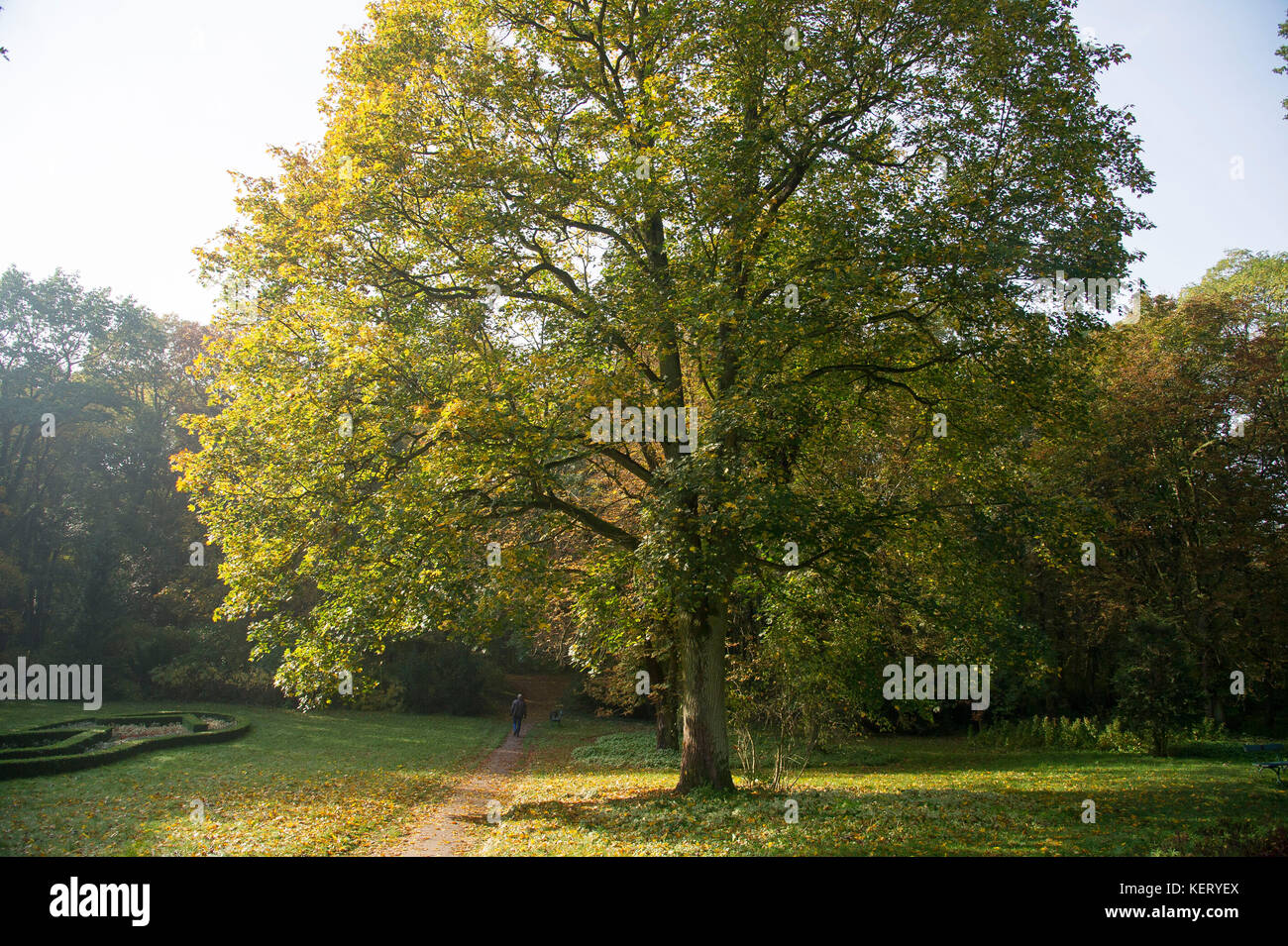 English landscape palace park design by Peter Joseph Lenne in ...
