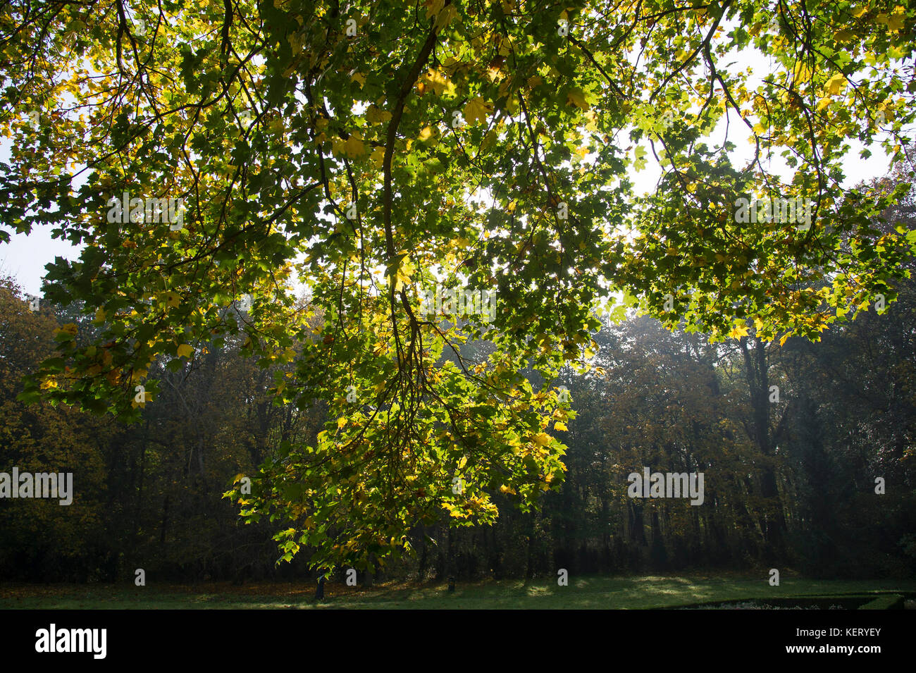 English landscape palace park design by Peter Joseph Lenne in ...