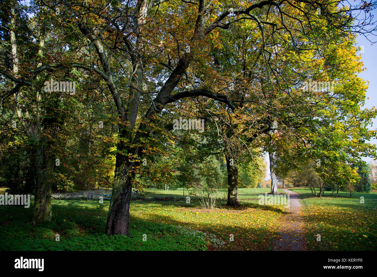 English landscape palace park design by Peter Joseph Lenne in ...