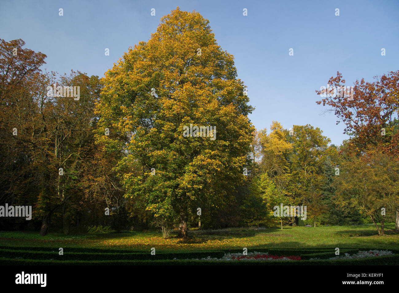 English landscape palace park design by Peter Joseph Lenne in ...