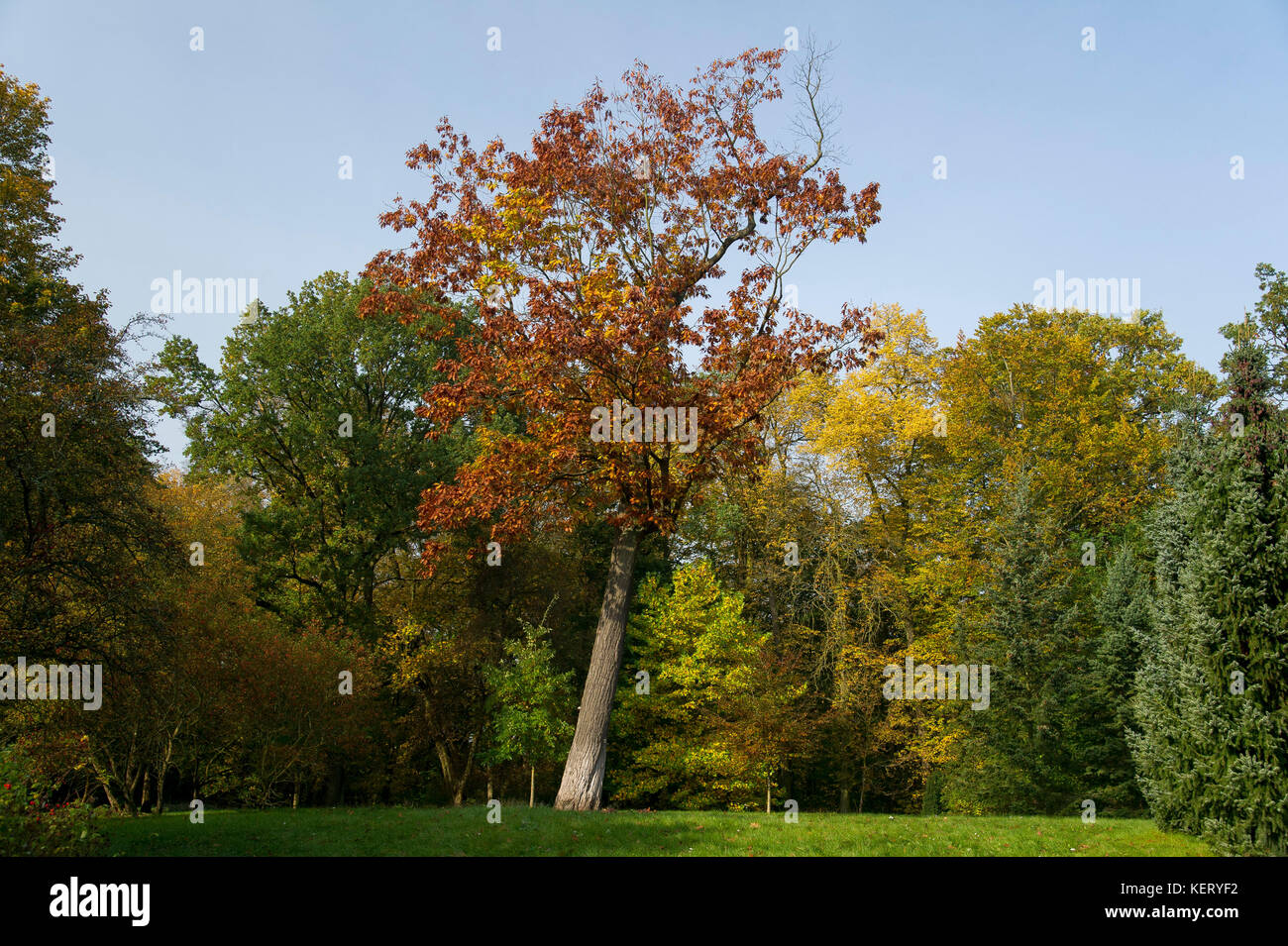 English landscape palace park design by Peter Joseph Lenne in ...