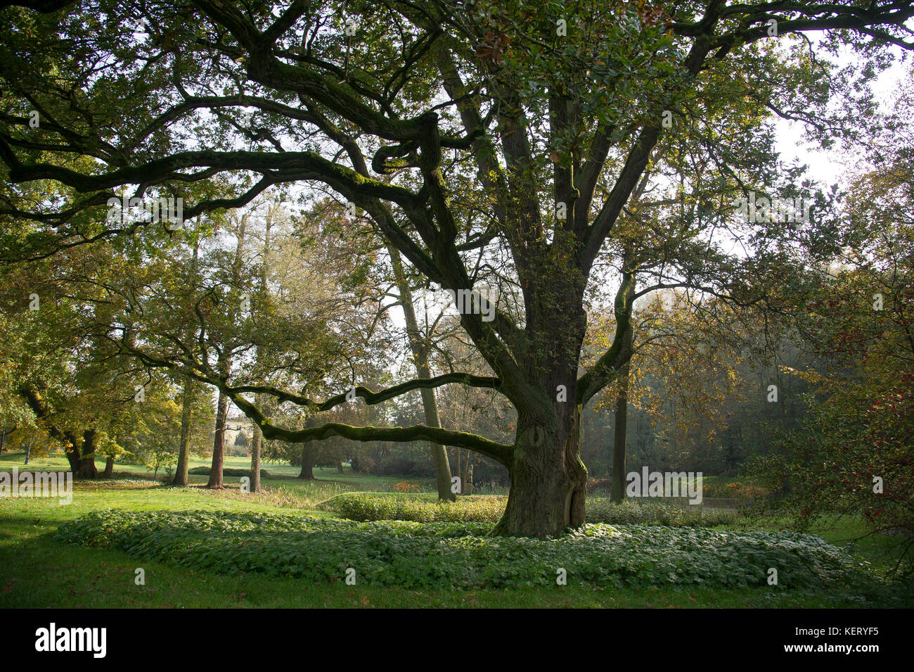 English landscape palace park design by Peter Joseph Lenne in ...