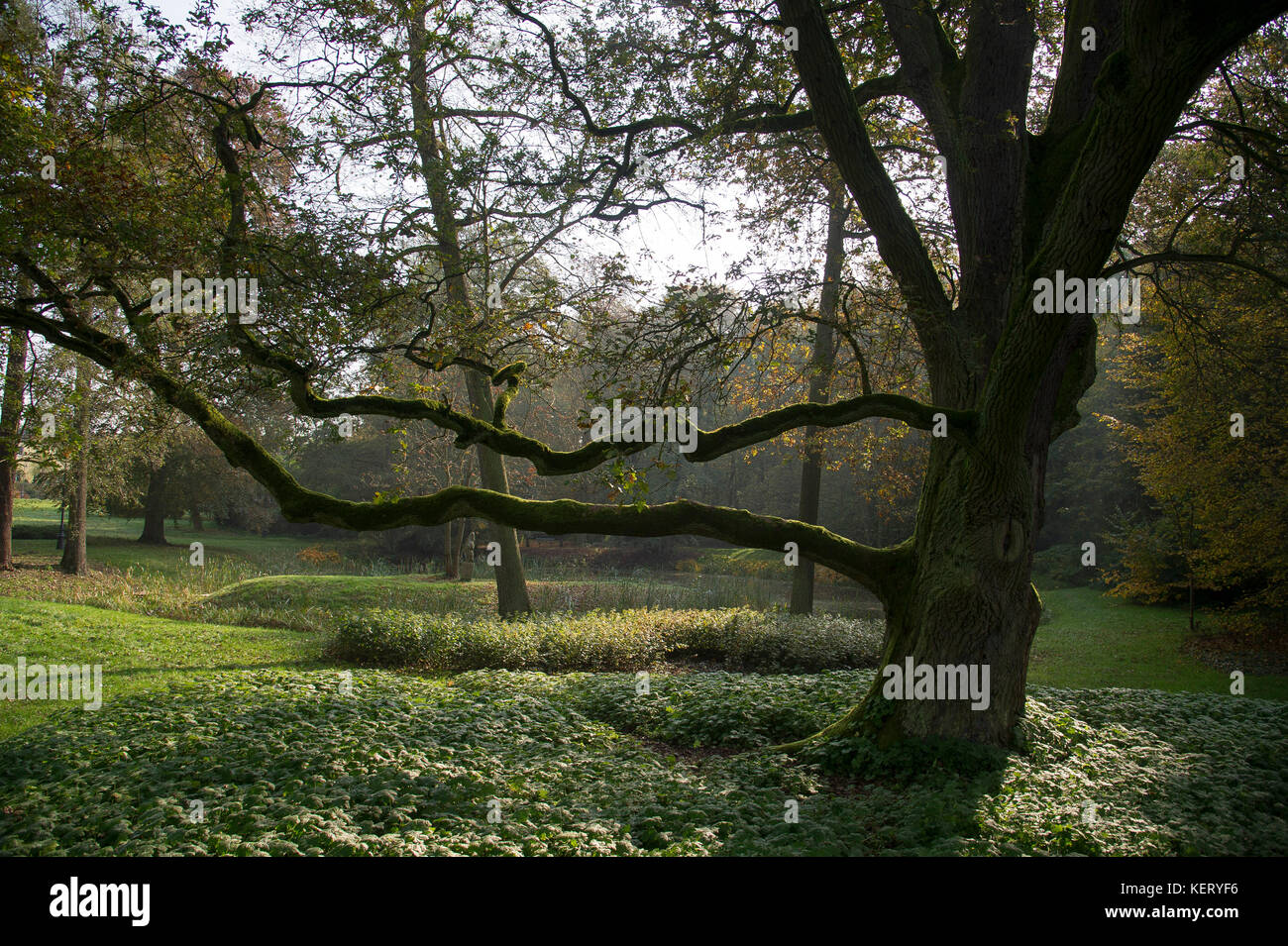 English landscape palace park design by Peter Joseph Lenne in ...