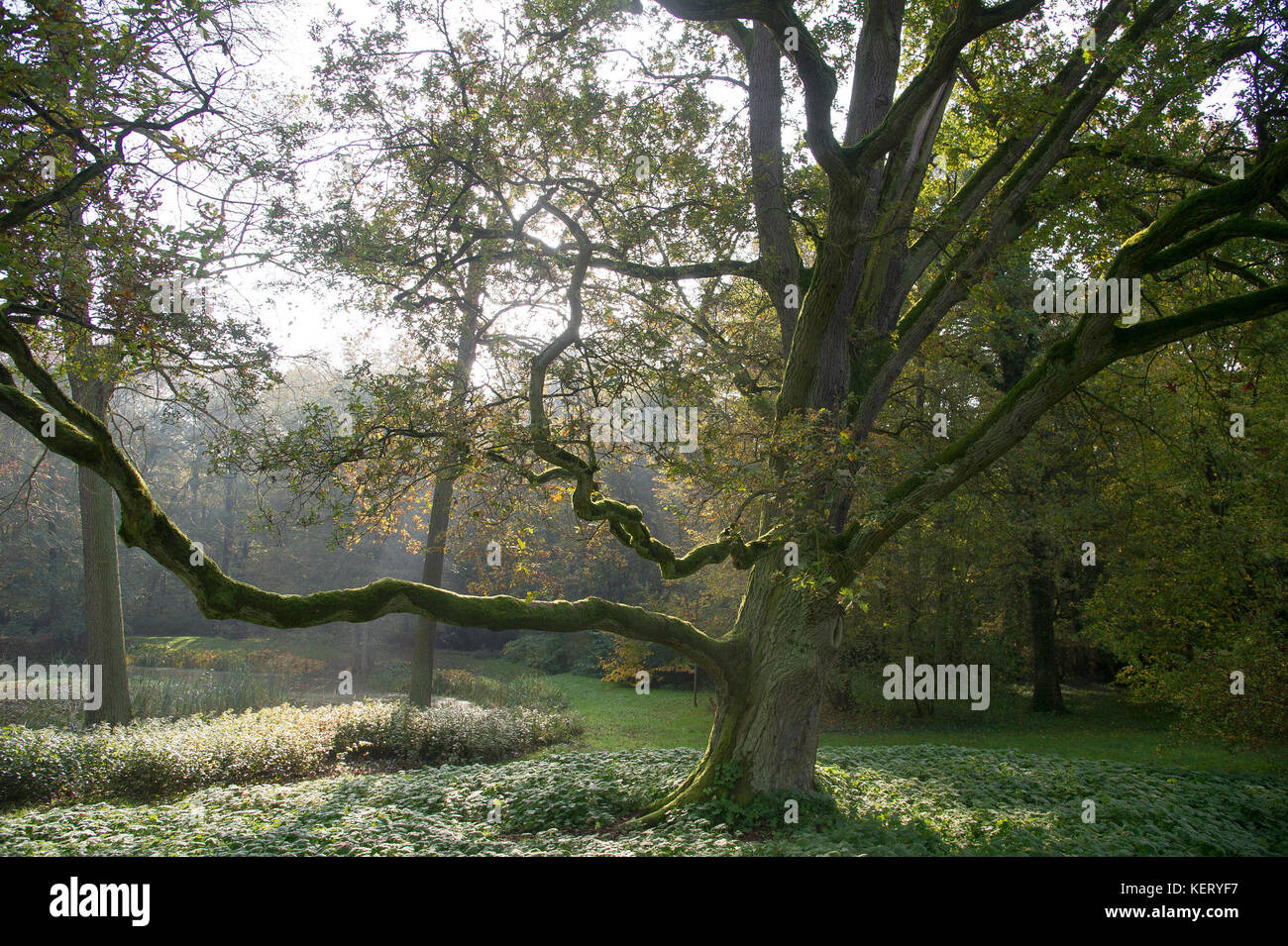 English landscape palace park design by Peter Joseph Lenne in ...