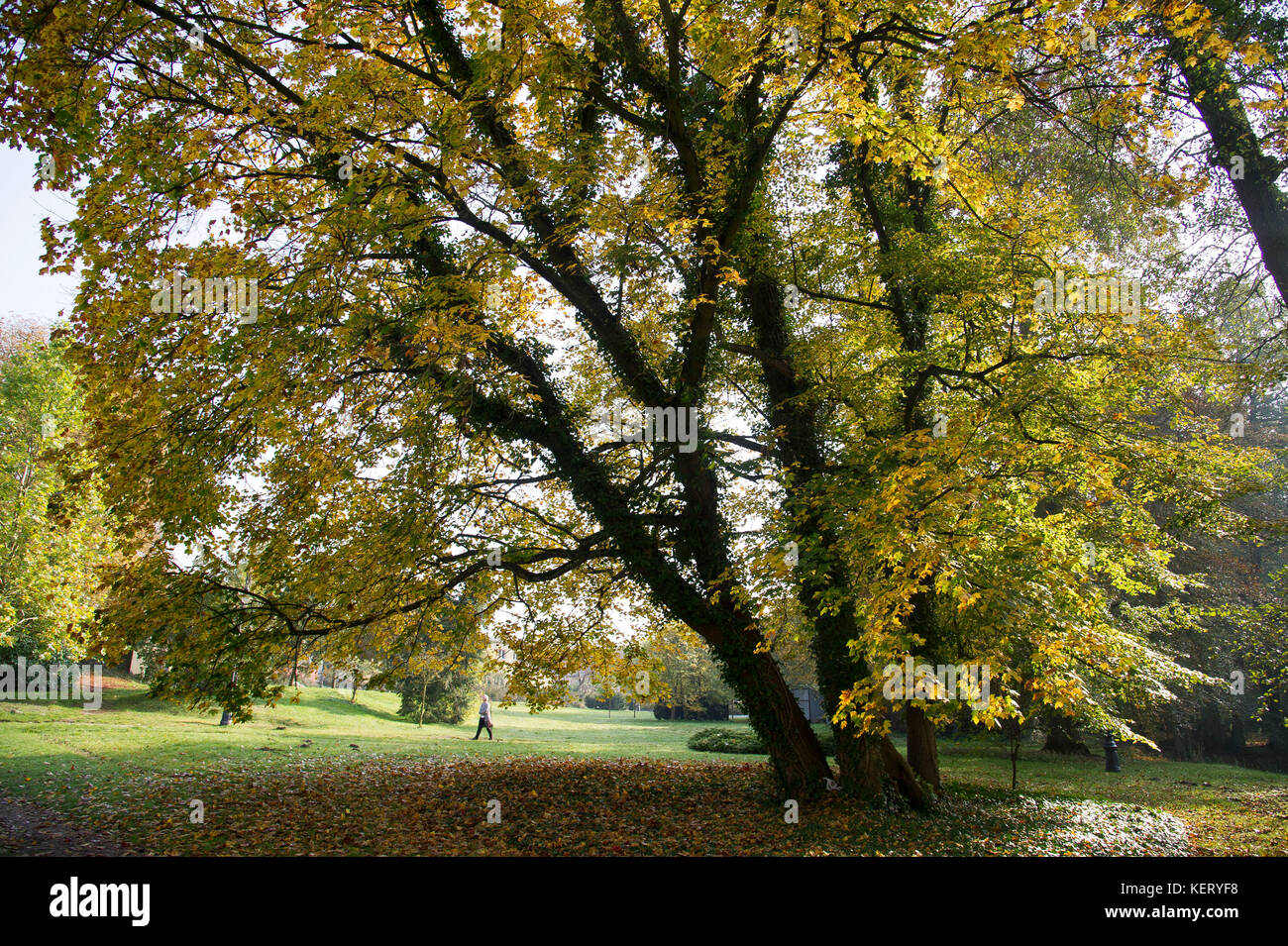 English landscape palace park design by Peter Joseph Lenne in ...