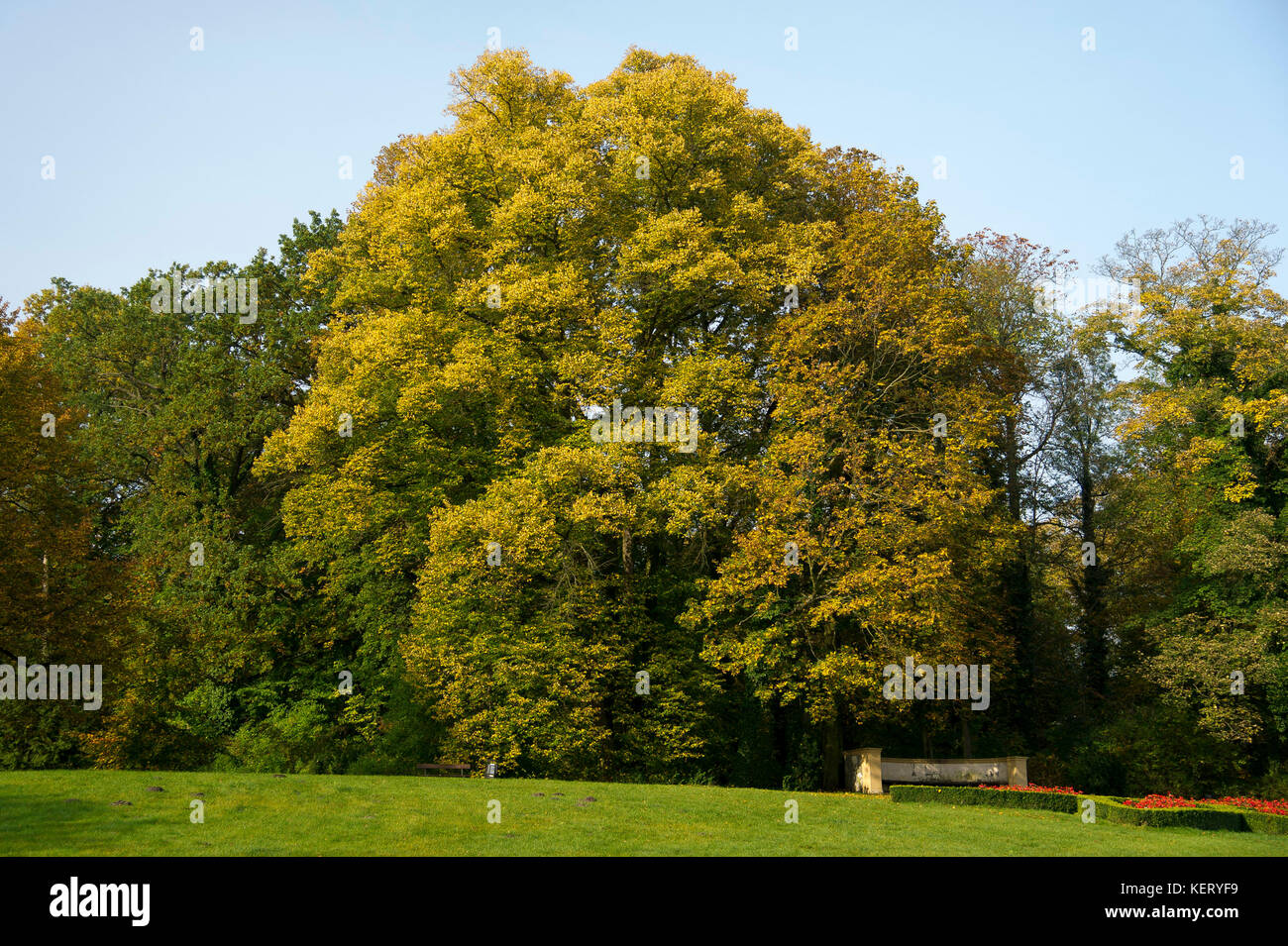 English landscape palace park design by Peter Joseph Lenne in ...