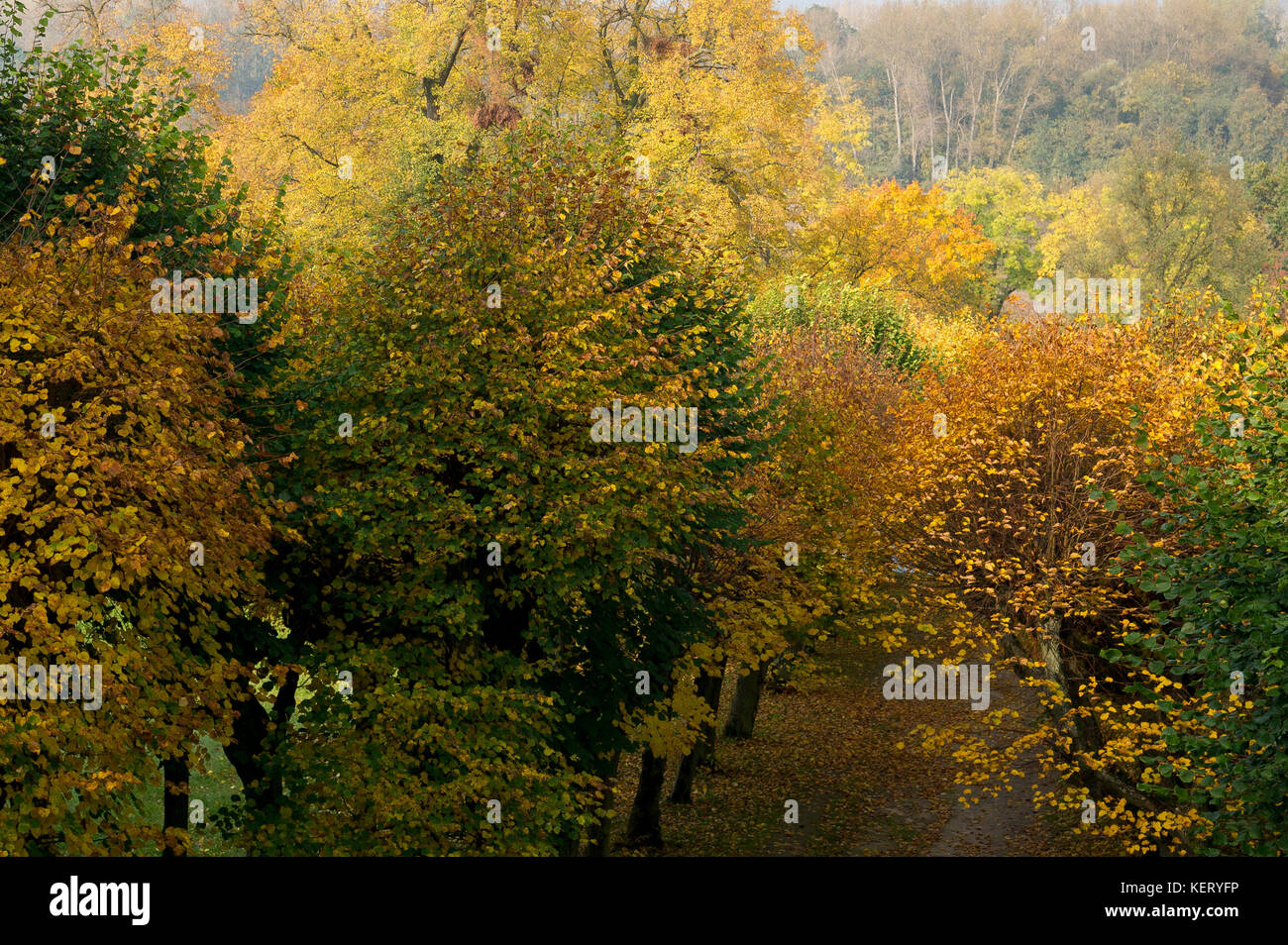 English landscape palace park design by Peter Joseph Lenne in ...