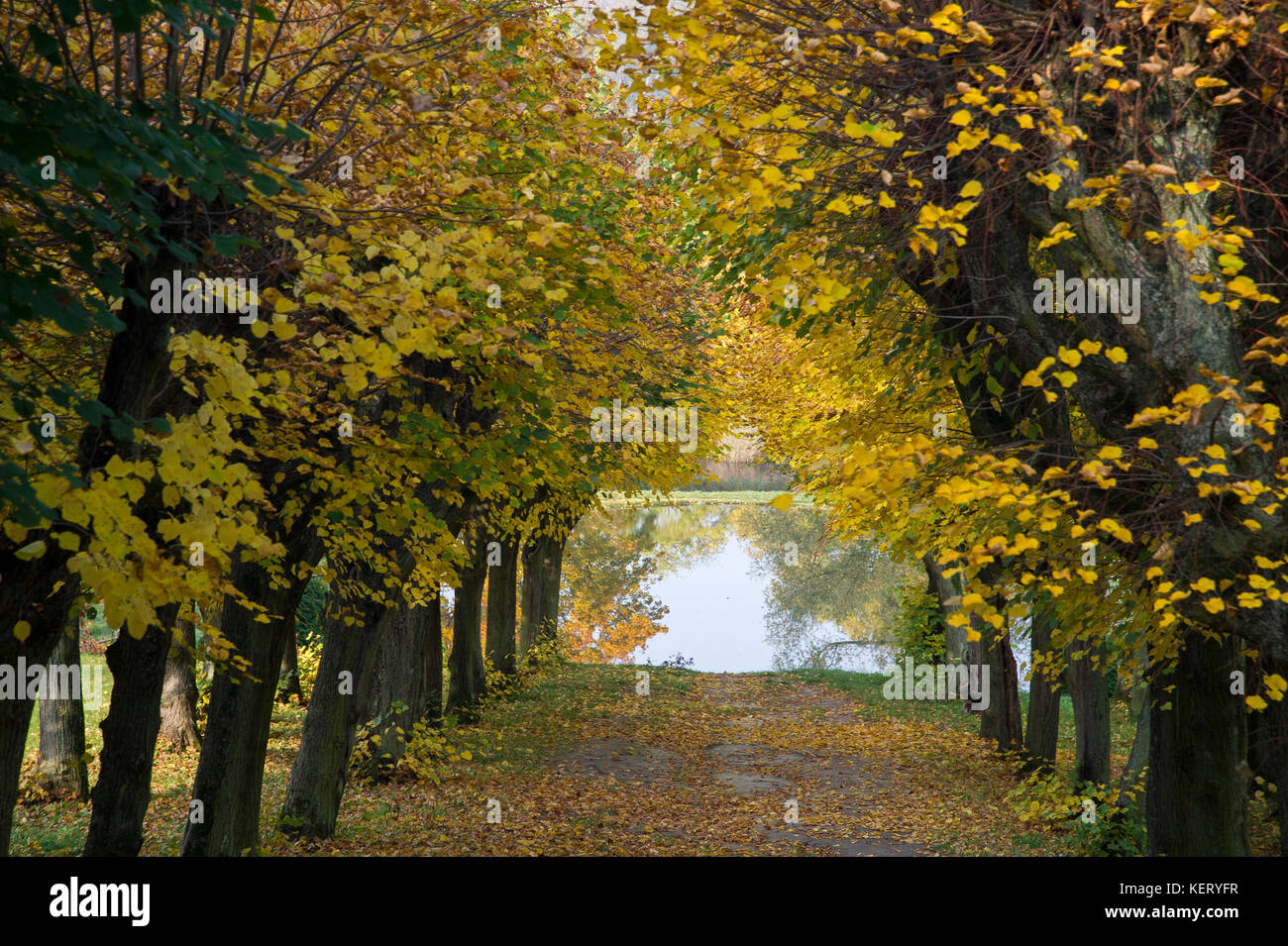 English landscape palace park design by Peter Joseph Lenne in ...
