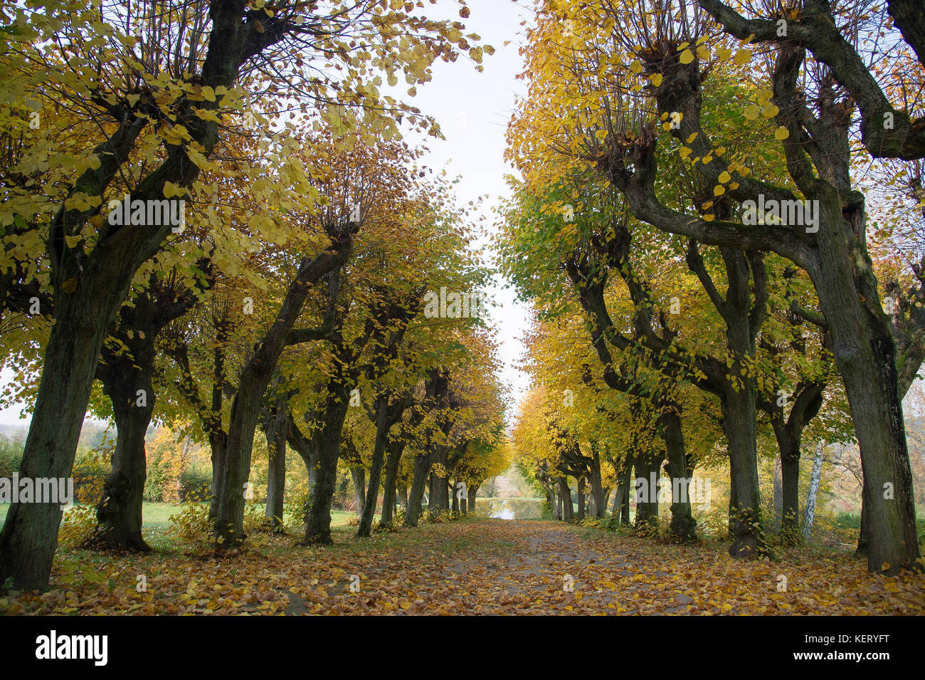 English landscape palace park design by Peter Joseph Lenne in ...