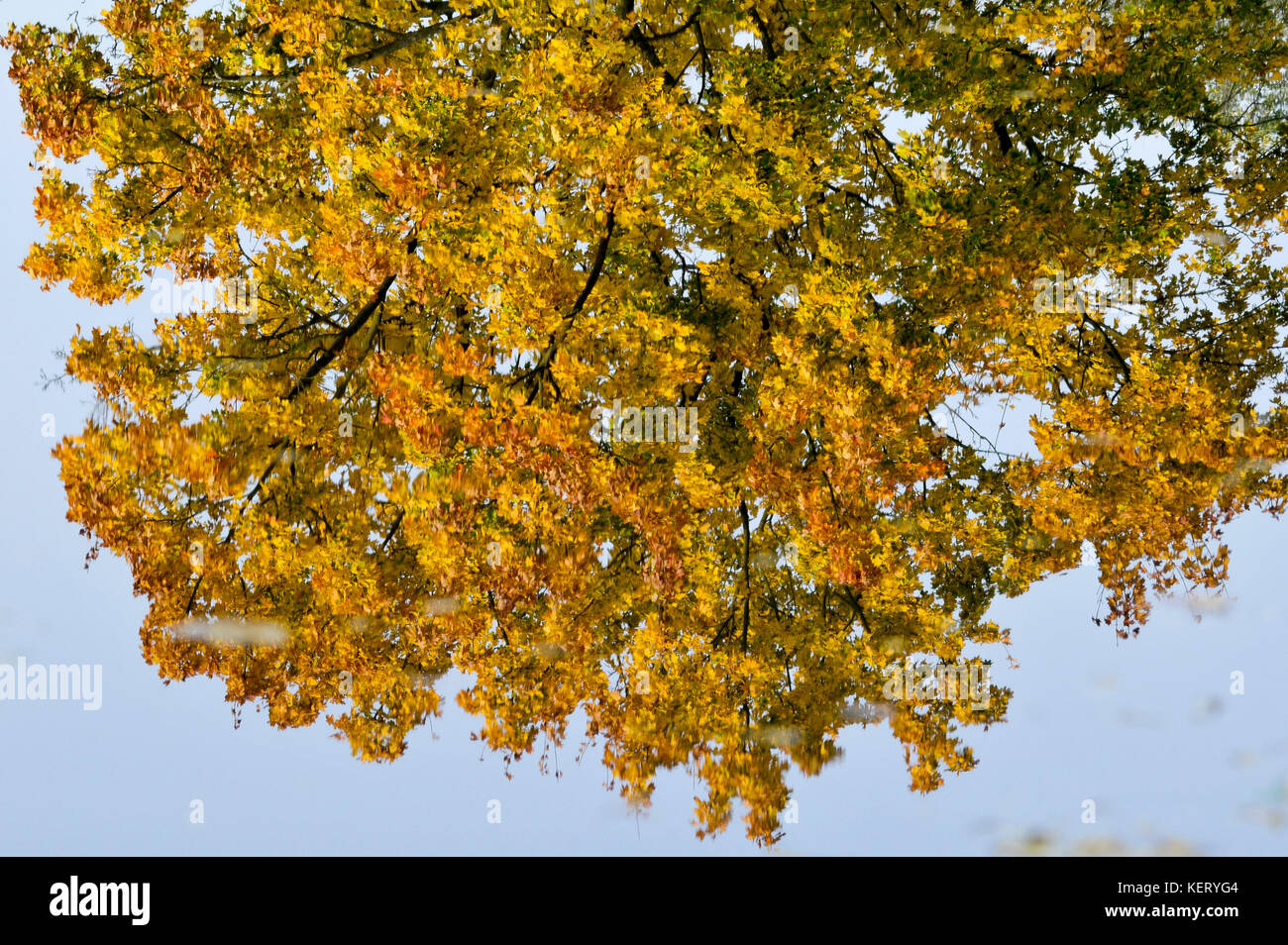 English landscape palace park design by Peter Joseph Lenne in ...