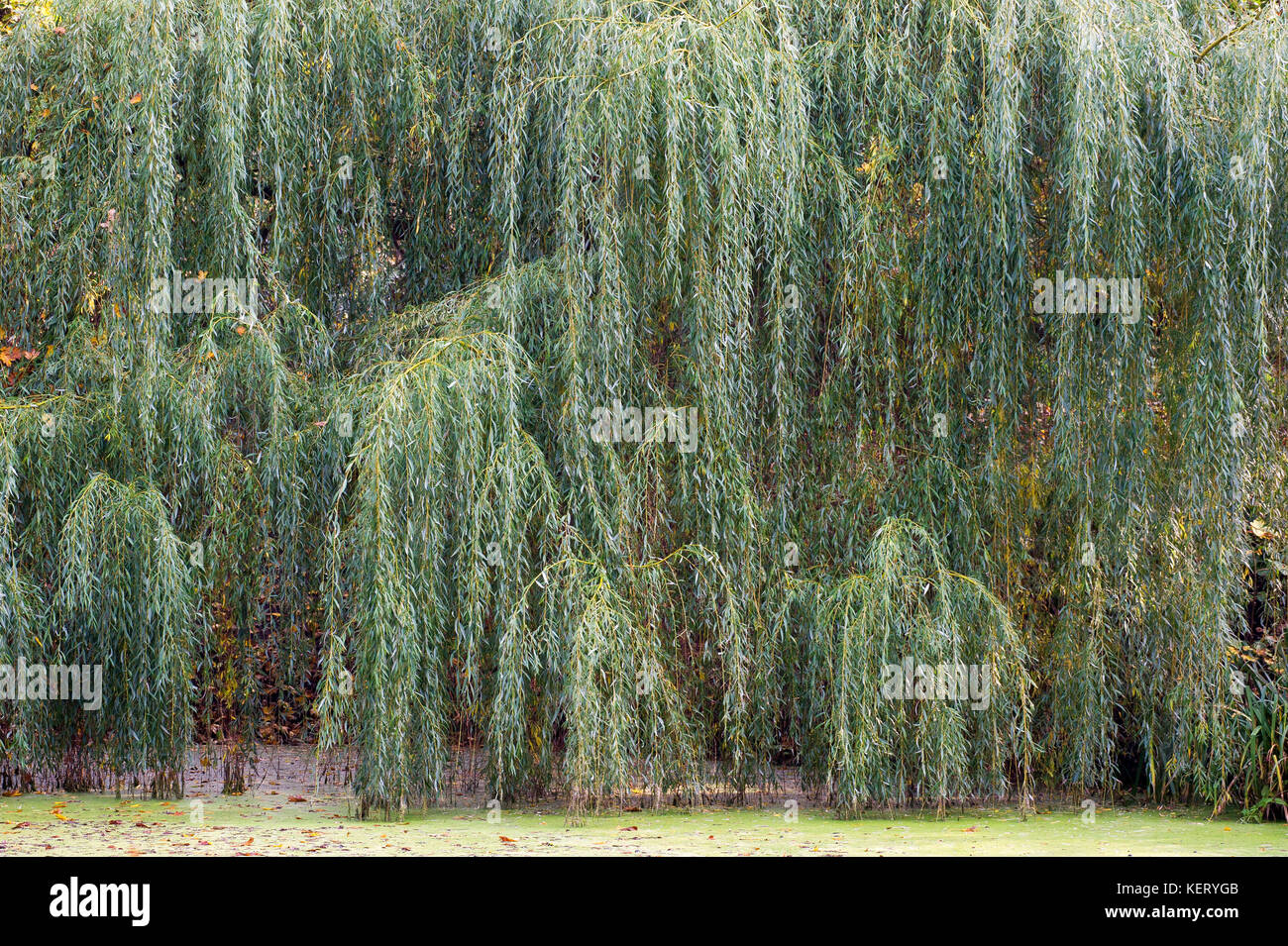 English landscape palace park design by Peter Joseph Lenne in ...