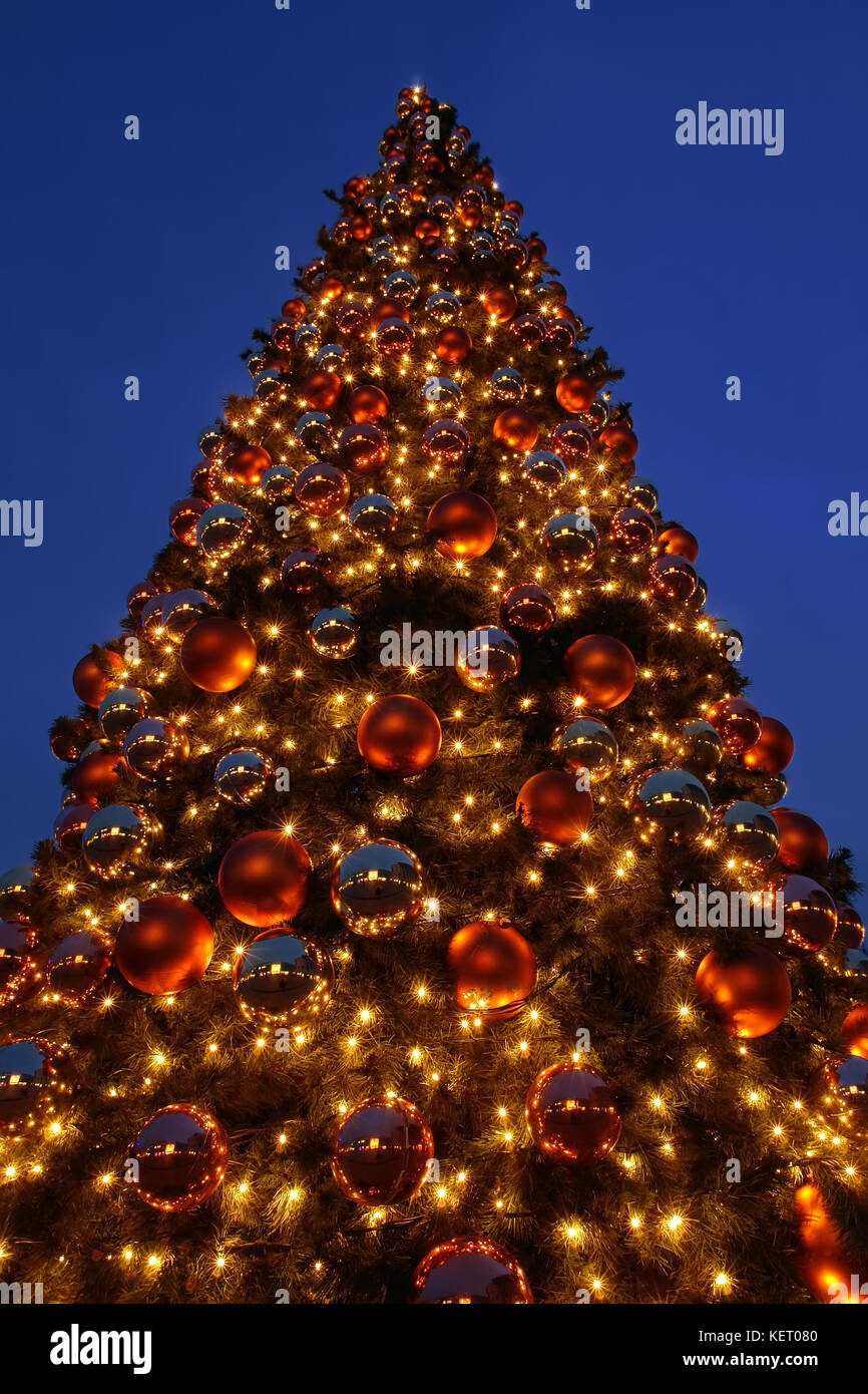Giant outdoors Christmas tree illuminated at the evening night against ...