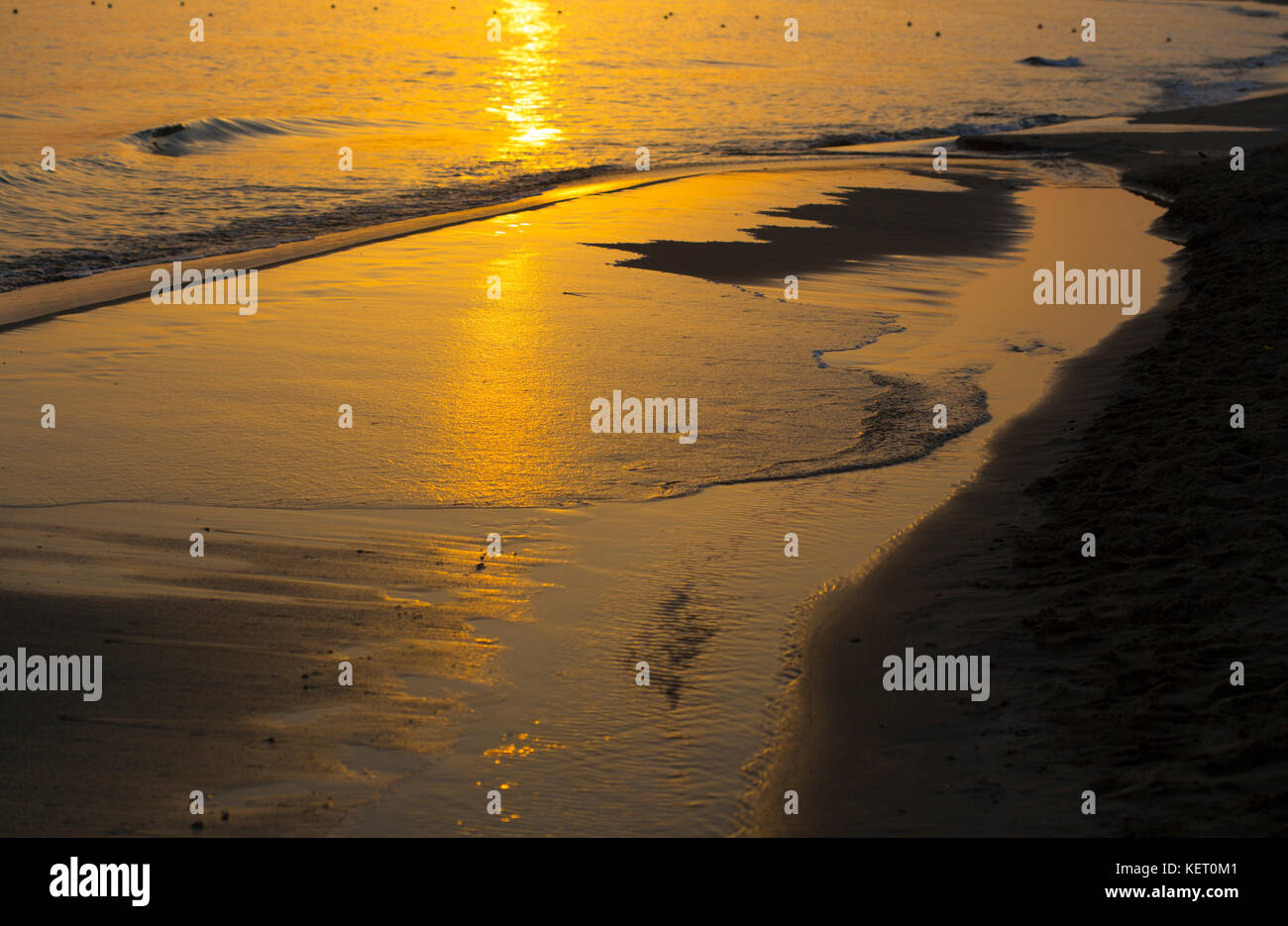 Seashore at dawn Stock Photo - Alamy