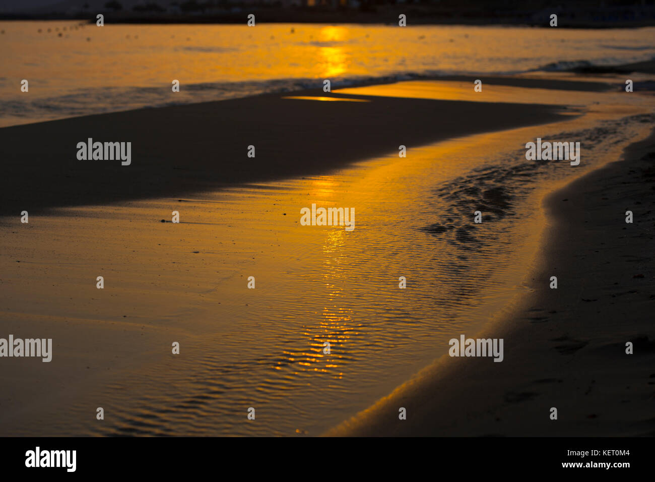Seashore at dawn Stock Photo - Alamy