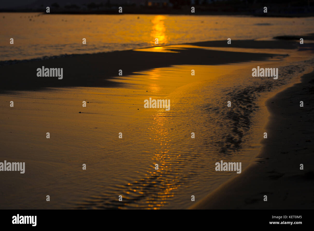 Seashore at dawn Stock Photo - Alamy