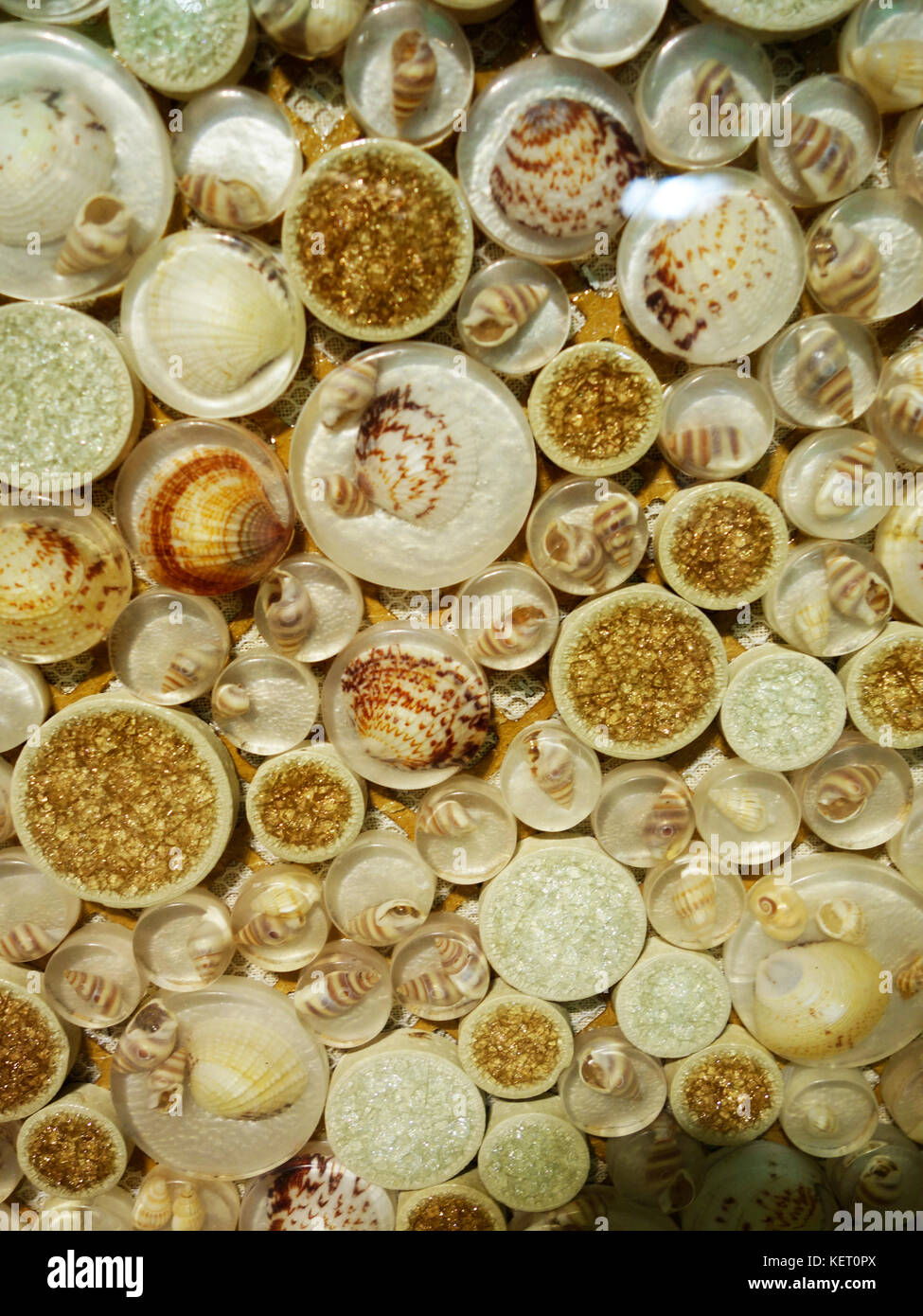 A shell collage pattern Stock Photo - Alamy