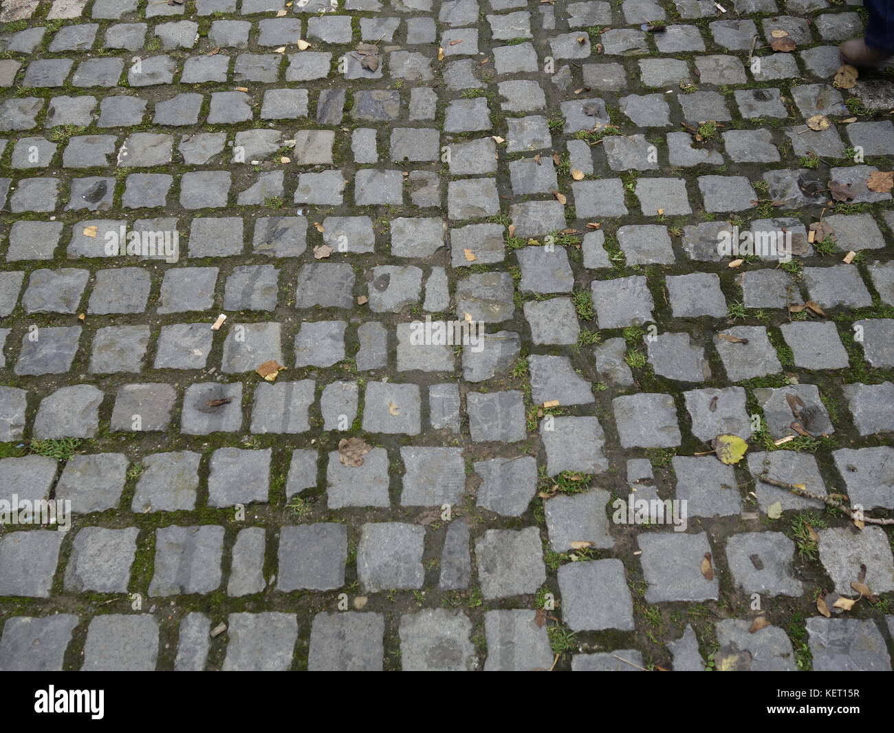 Floor ground cobbles cobbled stones hi-res stock photography and images ...