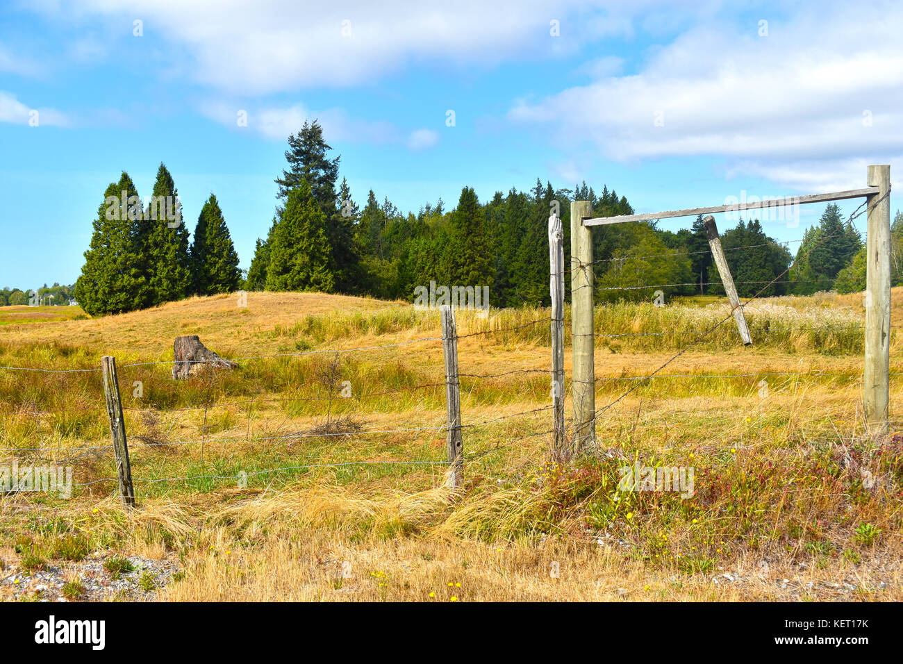 Beautiful surreal country pastoral scene with open field beyond a ...