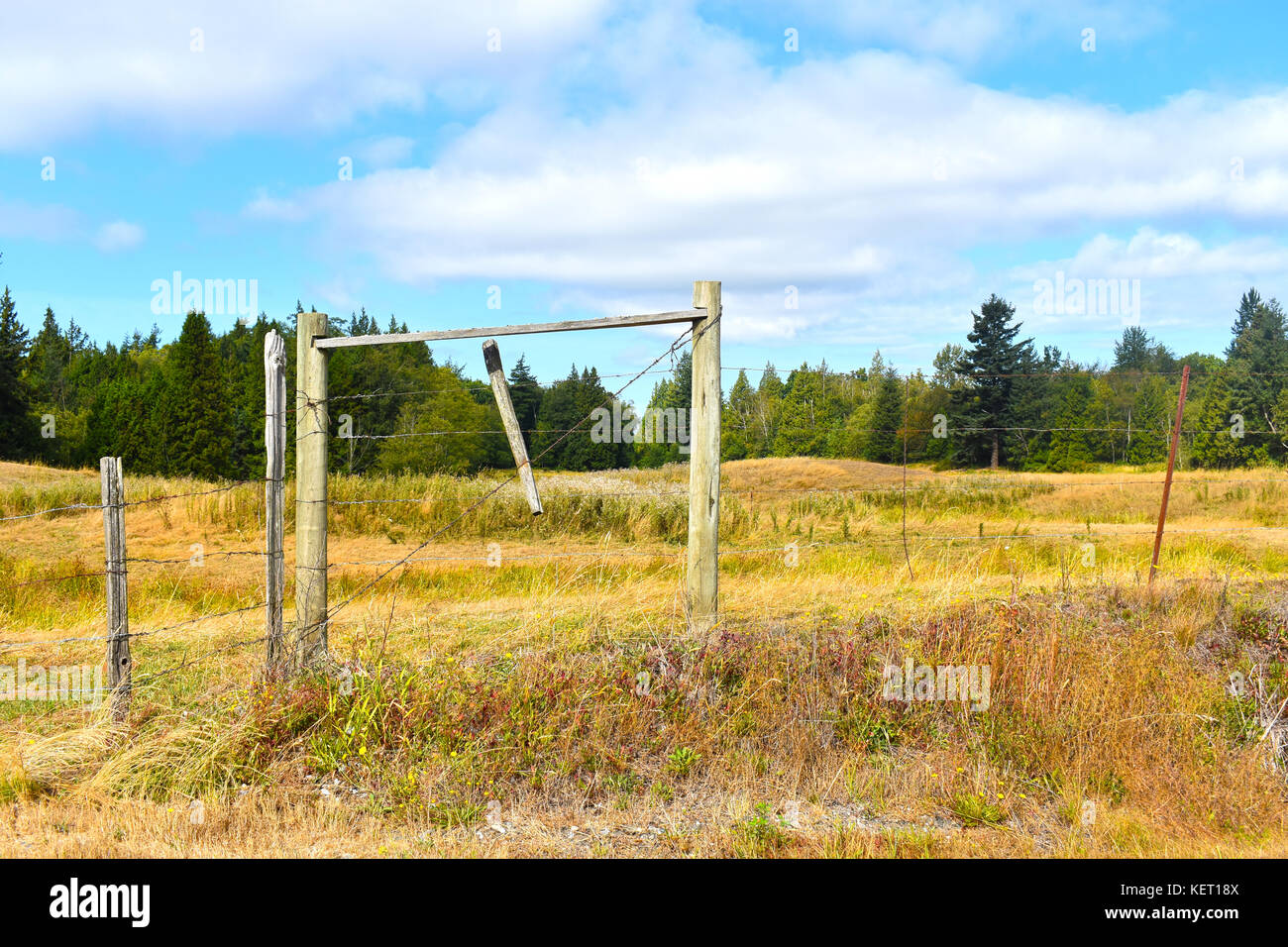 Beautiful surreal country pastoral scene with open field beyond a ...