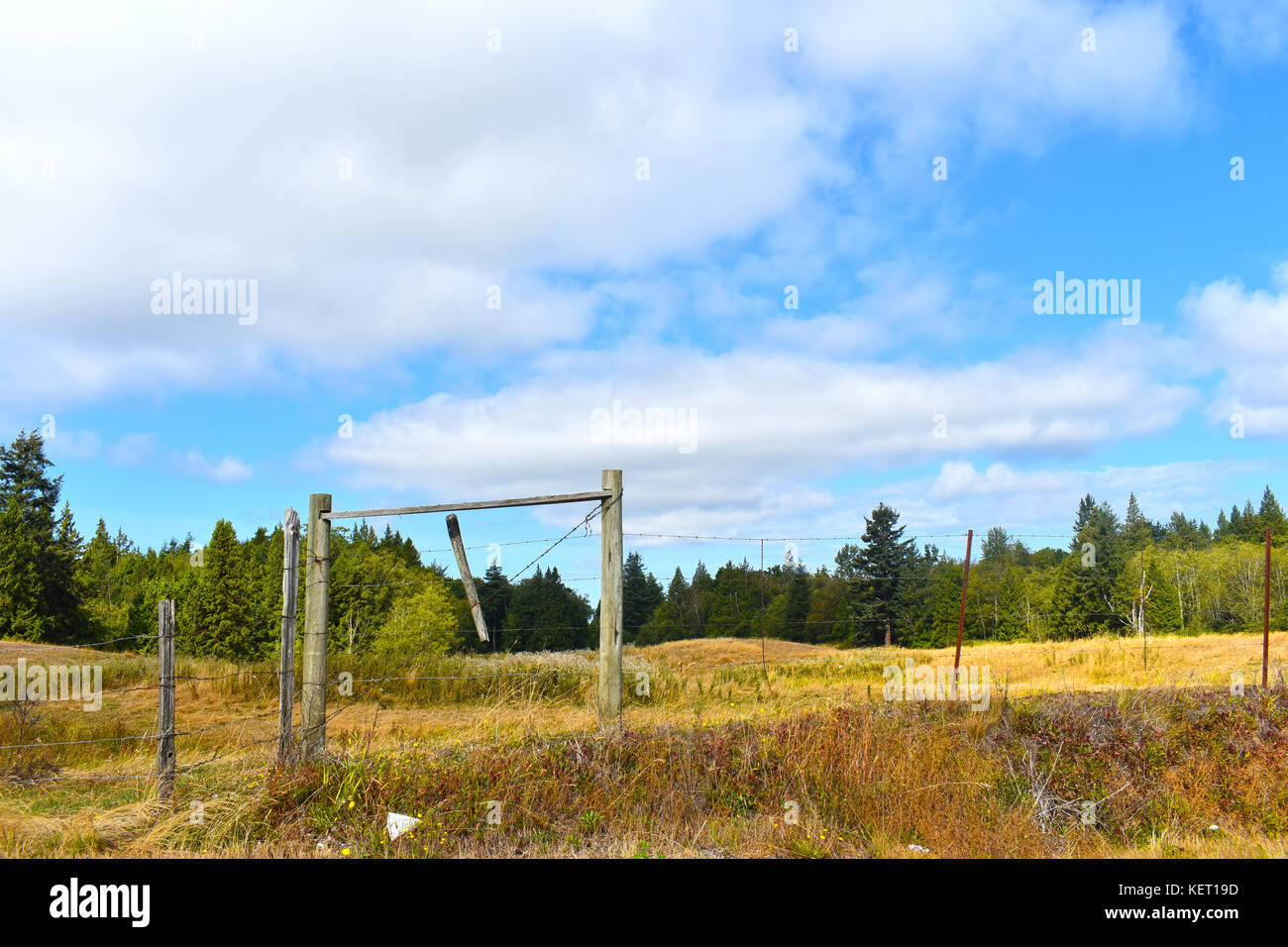 Beautiful surreal country pastoral scene with open field beyond a ...