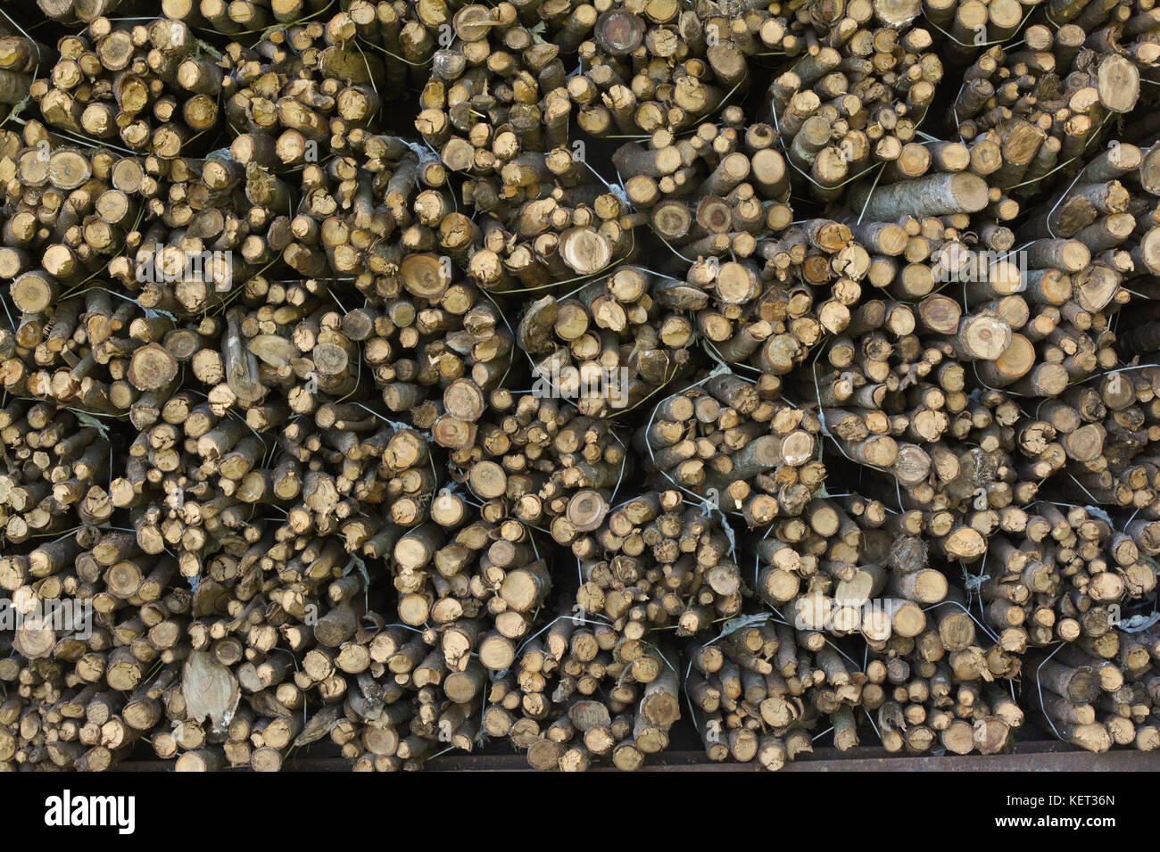 Beautifully arranged stack of wood Stock Photo - Alamy