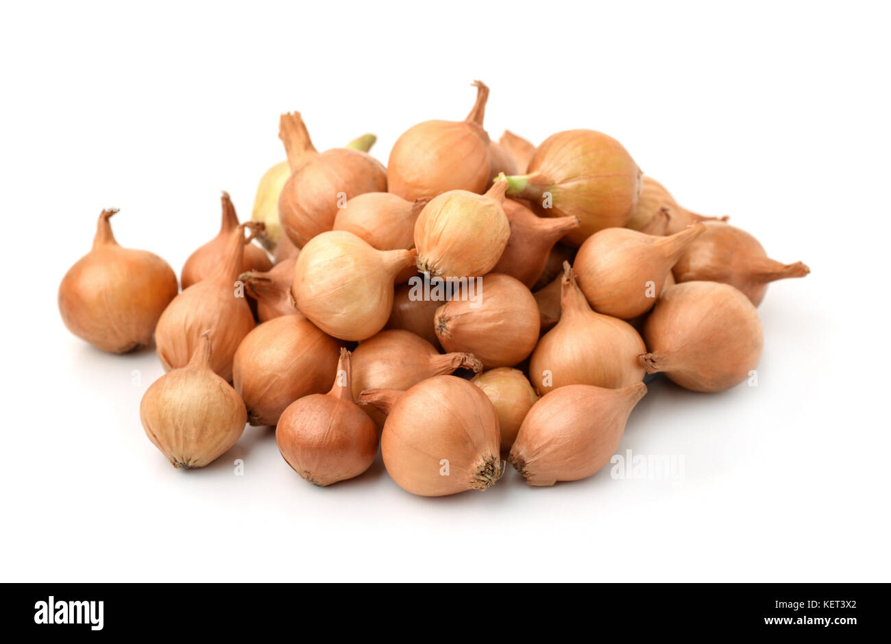 Pile of onion sets isolated on white Stock Photo - Alamy
