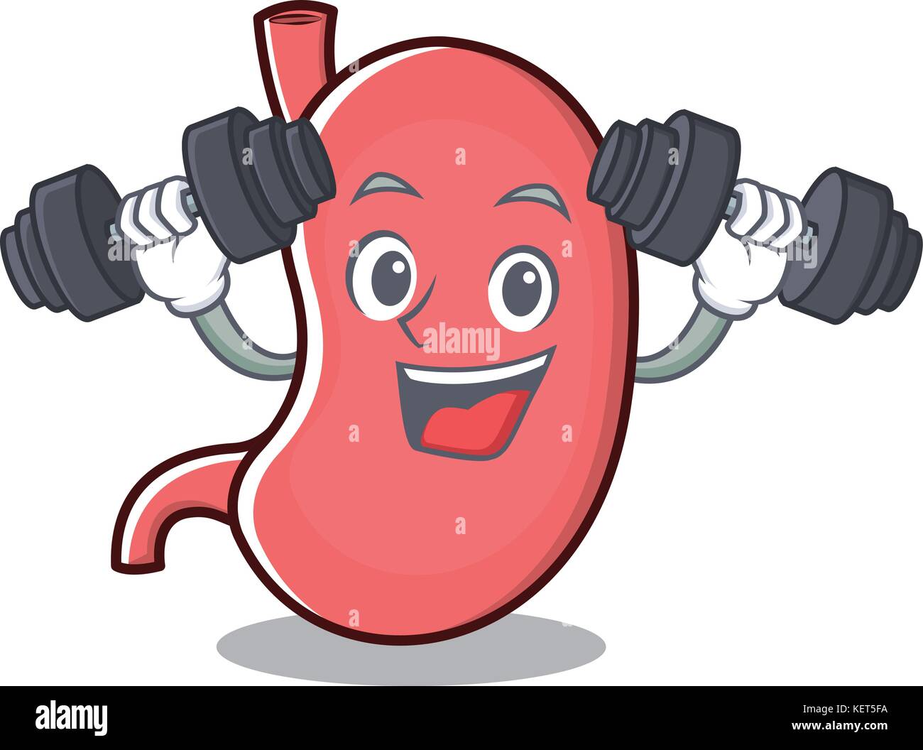 Fitness stomach character cartoon mascot Stock Vector Image & Art - Alamy