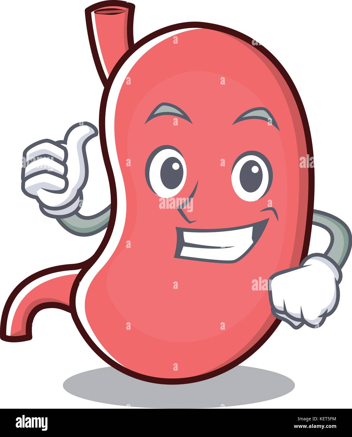 Thumbs up stomach character cartoon mascot Stock Vector Image & Art - Alamy