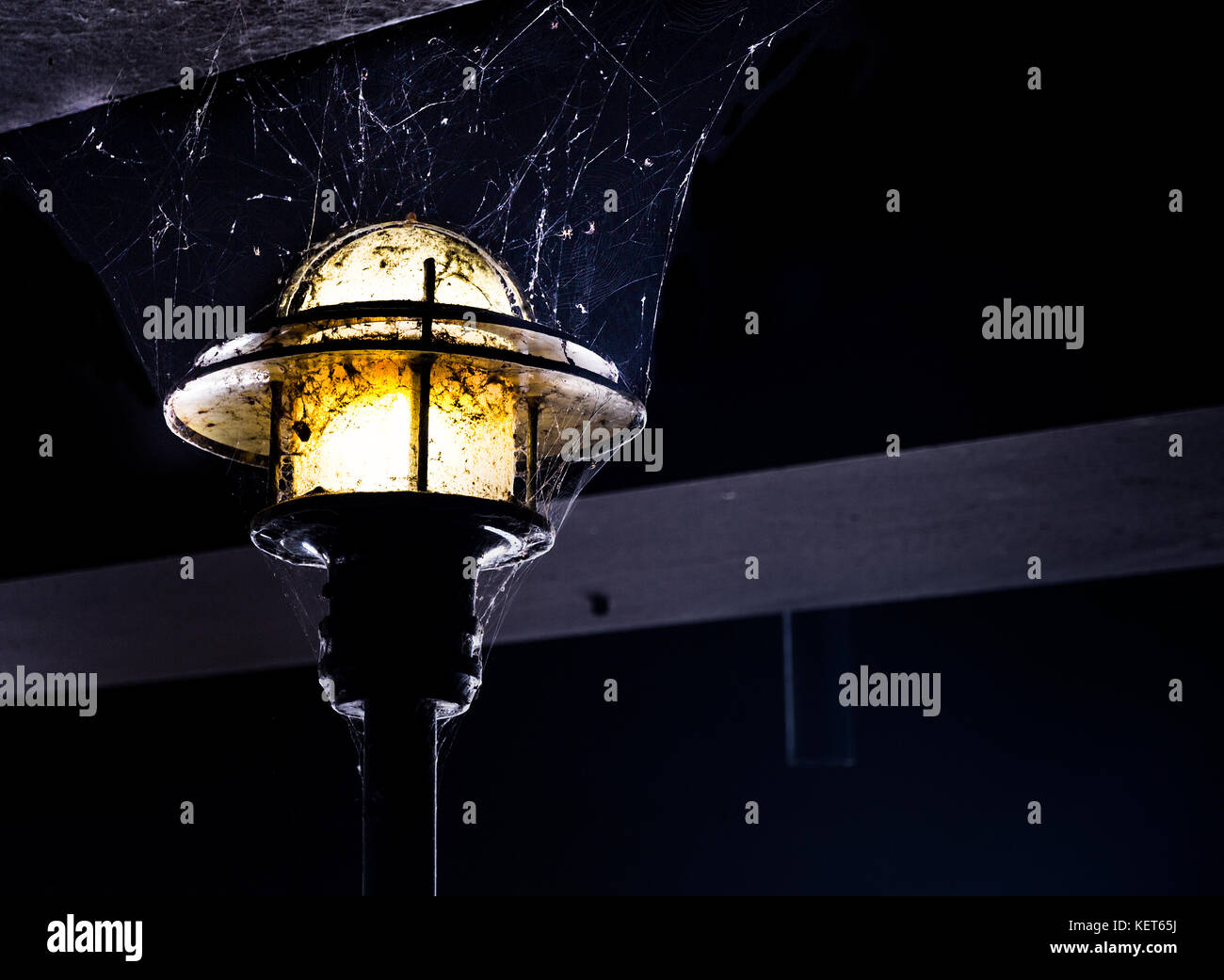 Robbery spider hi-res stock photography and images - Alamy