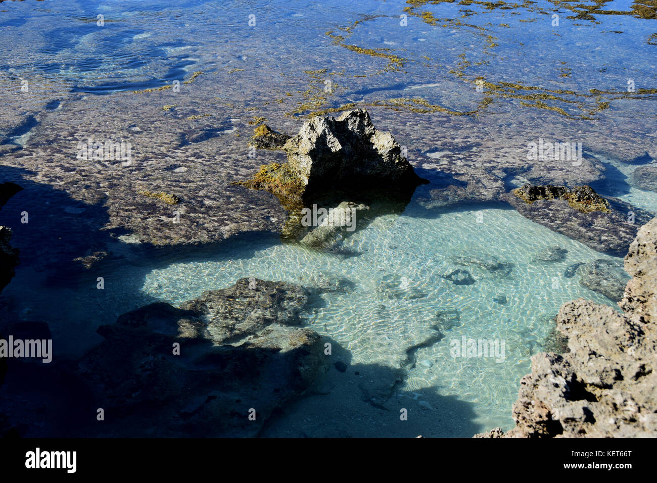 Tidal pools near Ka'ena Point Trail, Oahu Hawaii Stock Photo - Alamy