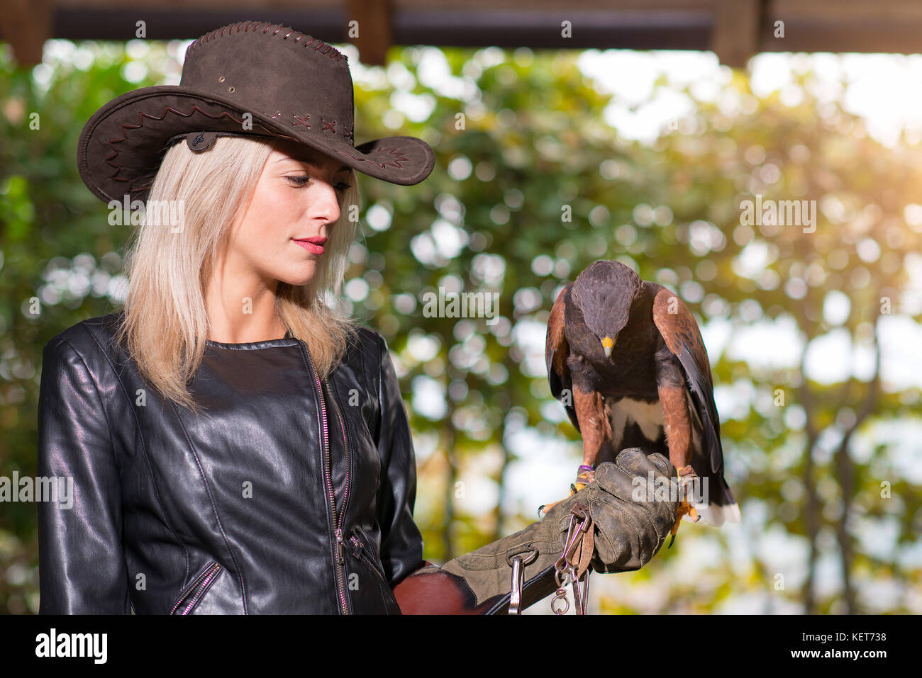 Person holding hawk hi-res stock photography and images - Alamy