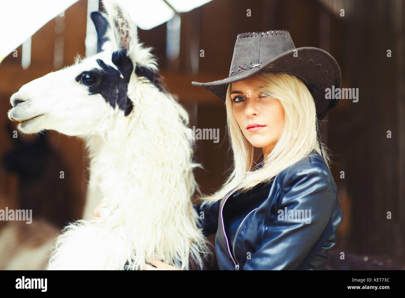 Beautiful country style blonde woman with a white lama Stock Photo - Alamy