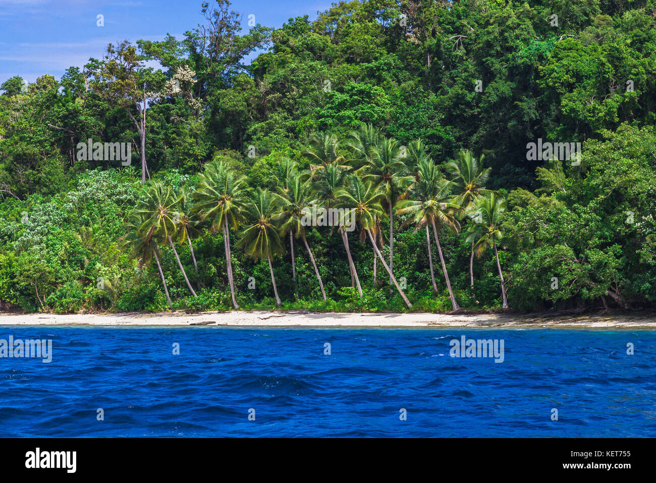 Beach view in Raja Ampat, West Papua, Indonesia Stock Photo - Alamy