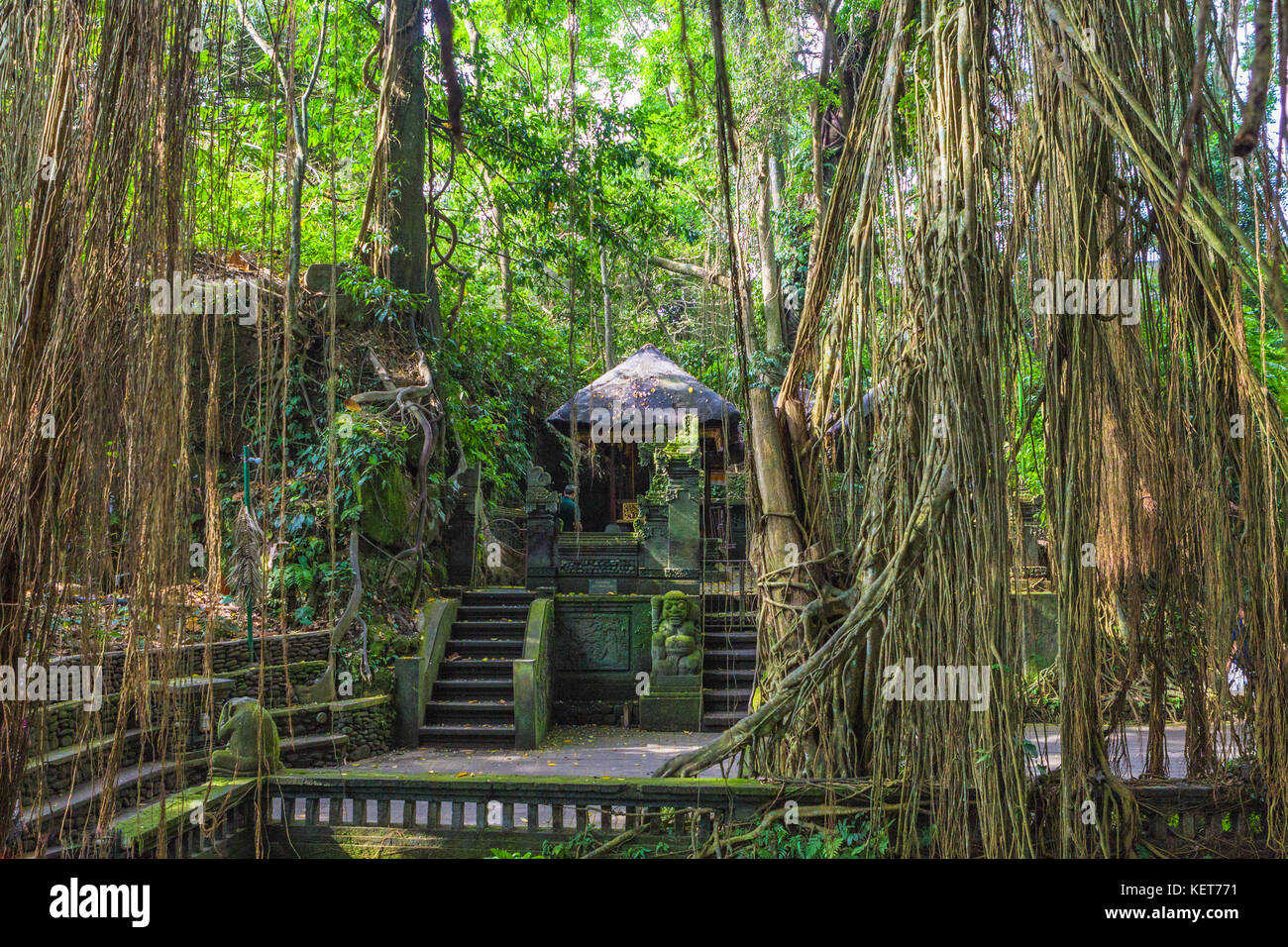 Ubud forest hi-res stock photography and images - Alamy