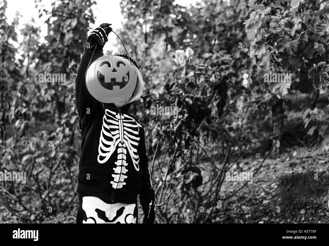 Trick or Treat. child wearing skeleton costume on Halloween outdoors ...
