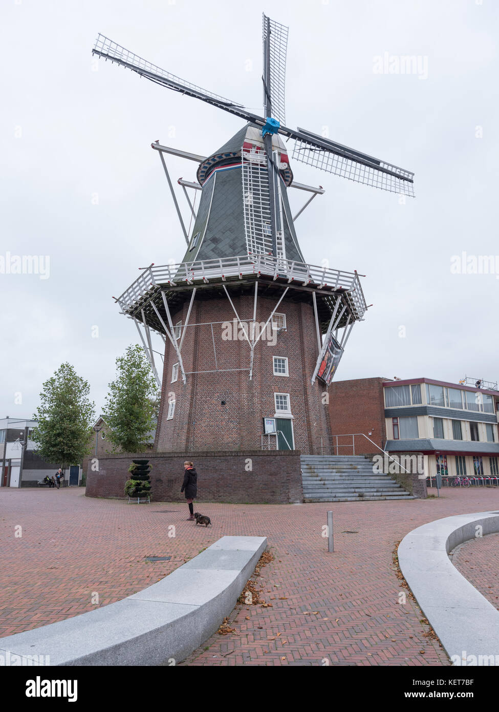 Woman walks dog empty hi-res stock photography and images - Alamy