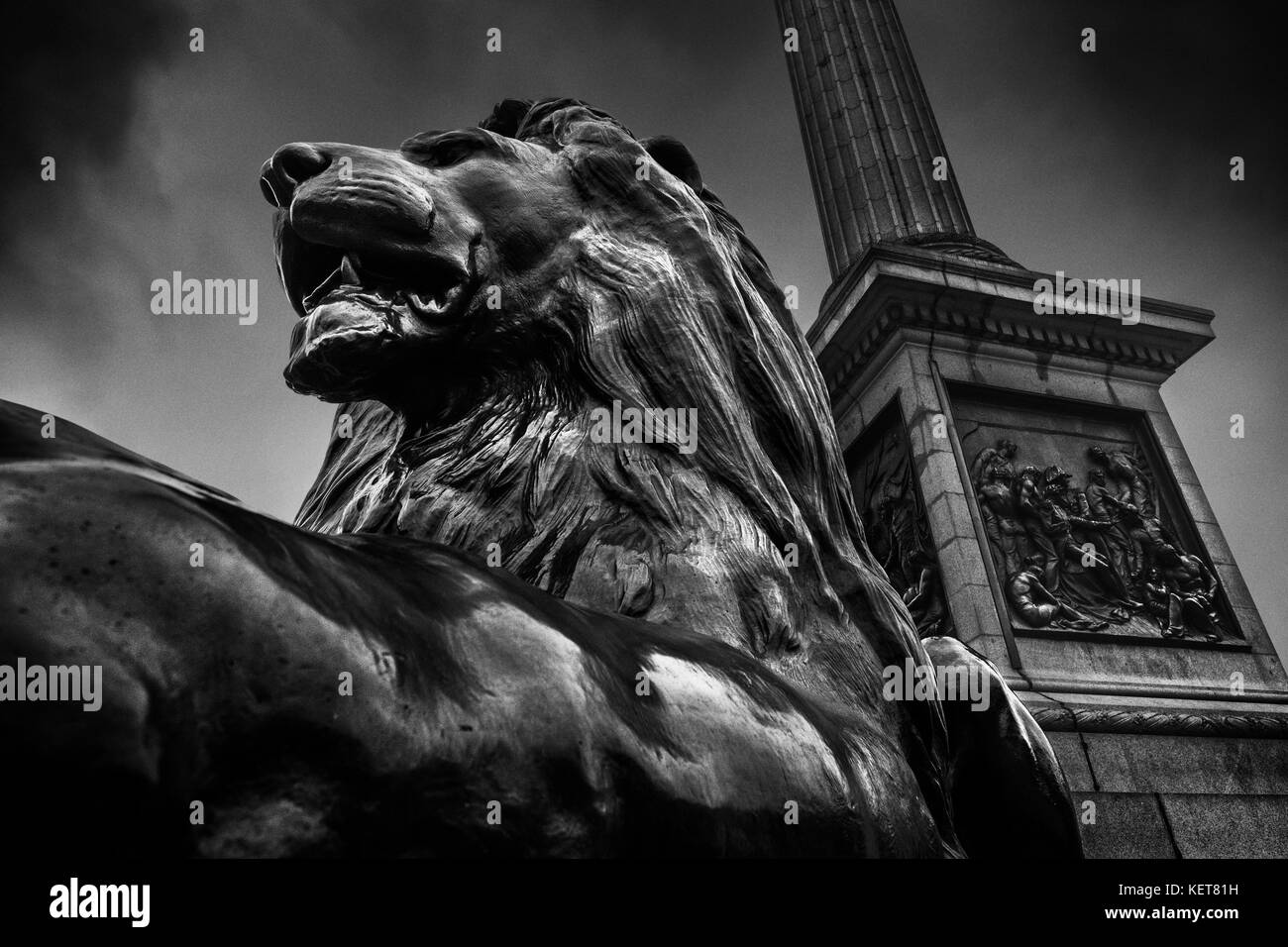 low angle of the lion at trafalgar square Stock Photo - Alamy