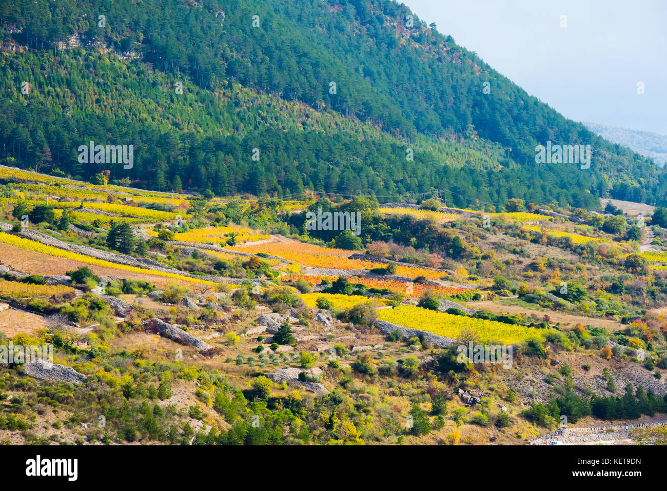 Red landscape hi-res stock photography and images - Alamy