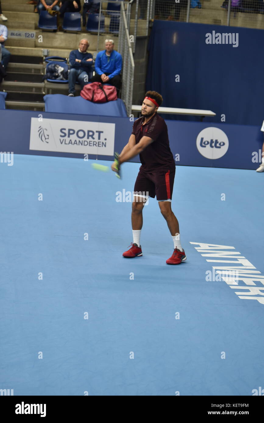 European Open - ATP World Tour 250 Series - Antwerp Belgium Stock Photo ...